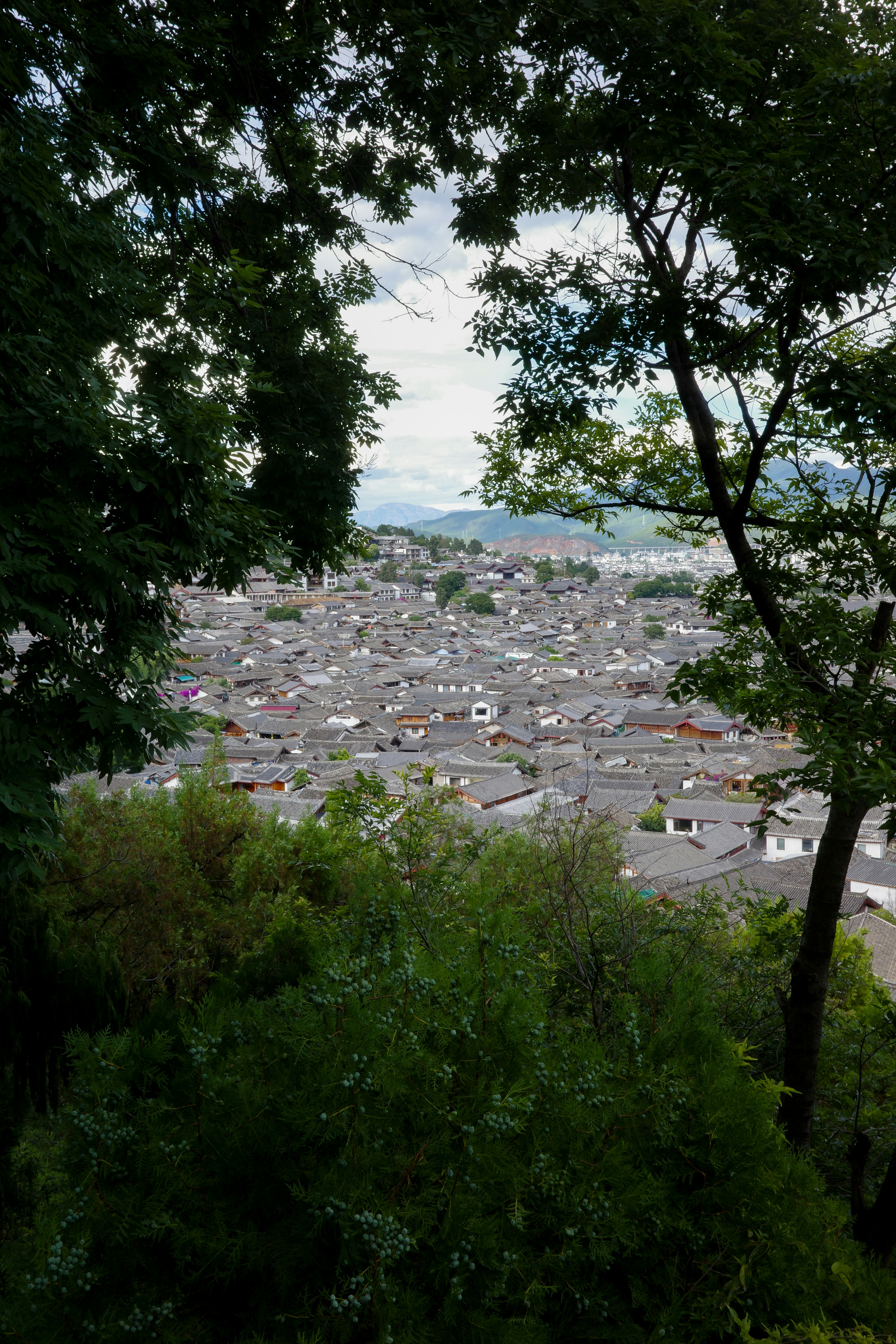 Overlook to the Village Below: Framed by Forest Canopy
