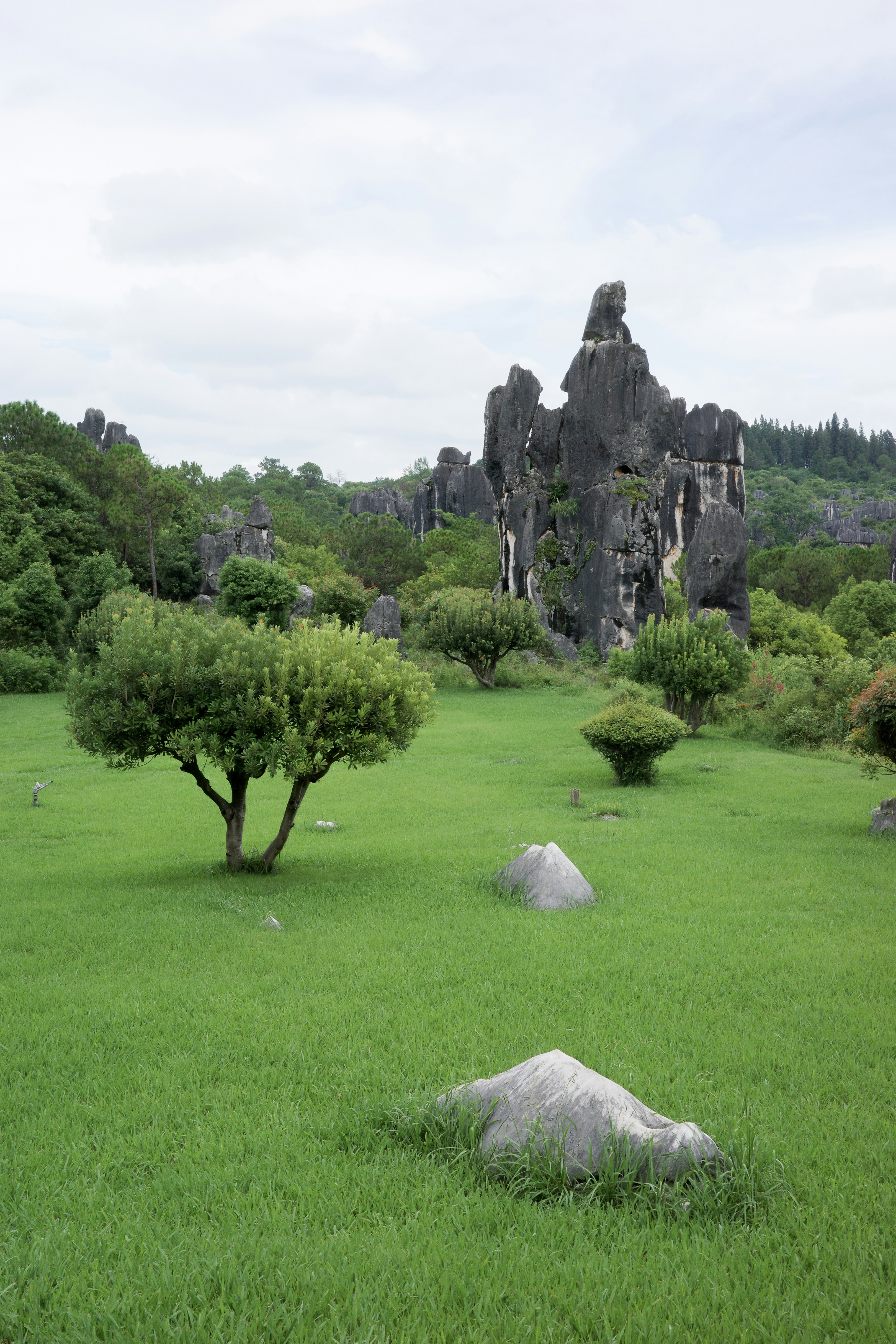Towering Stone Serpent Rises Over Velvet Green