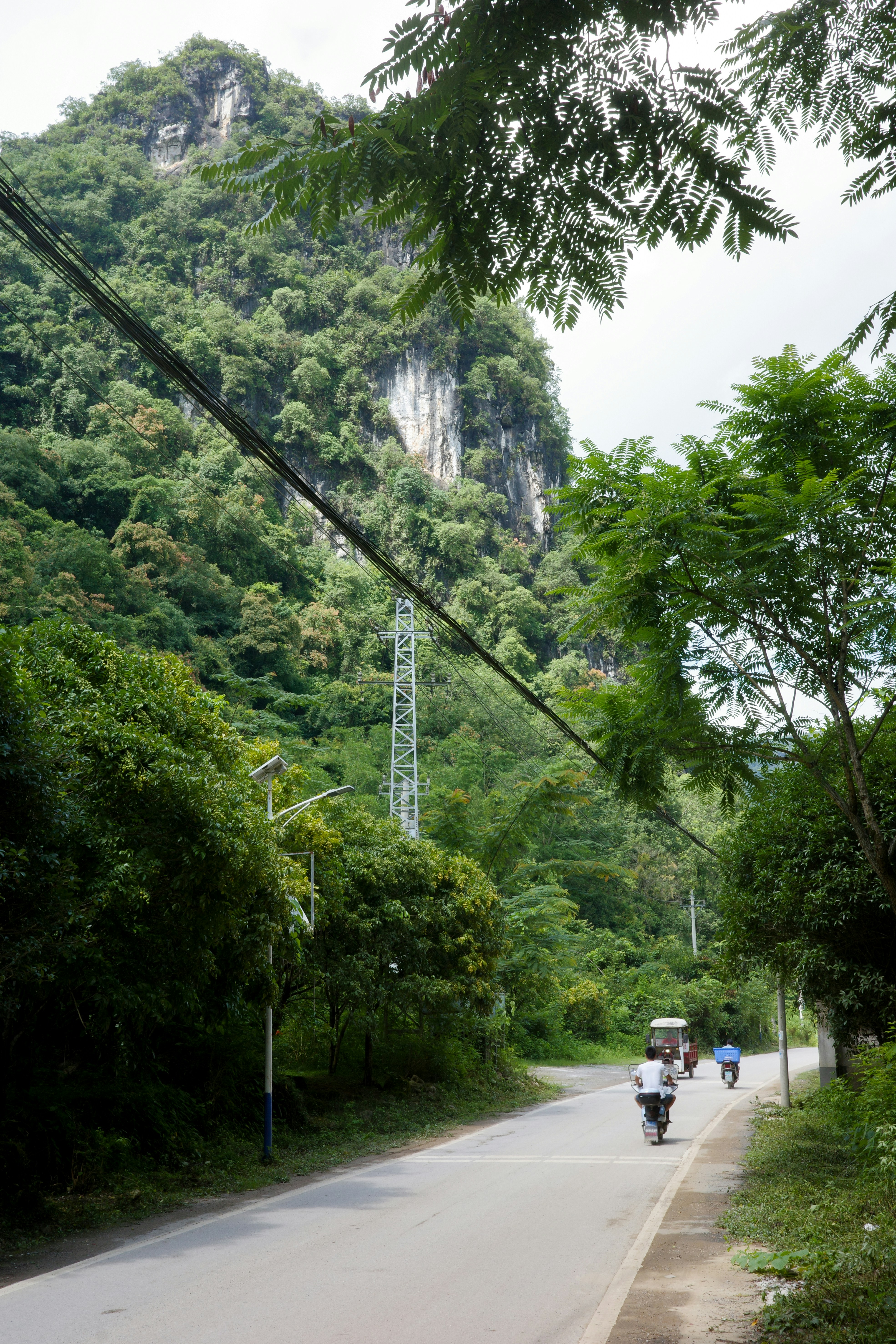 Rural Road Through Lush Karst Hills