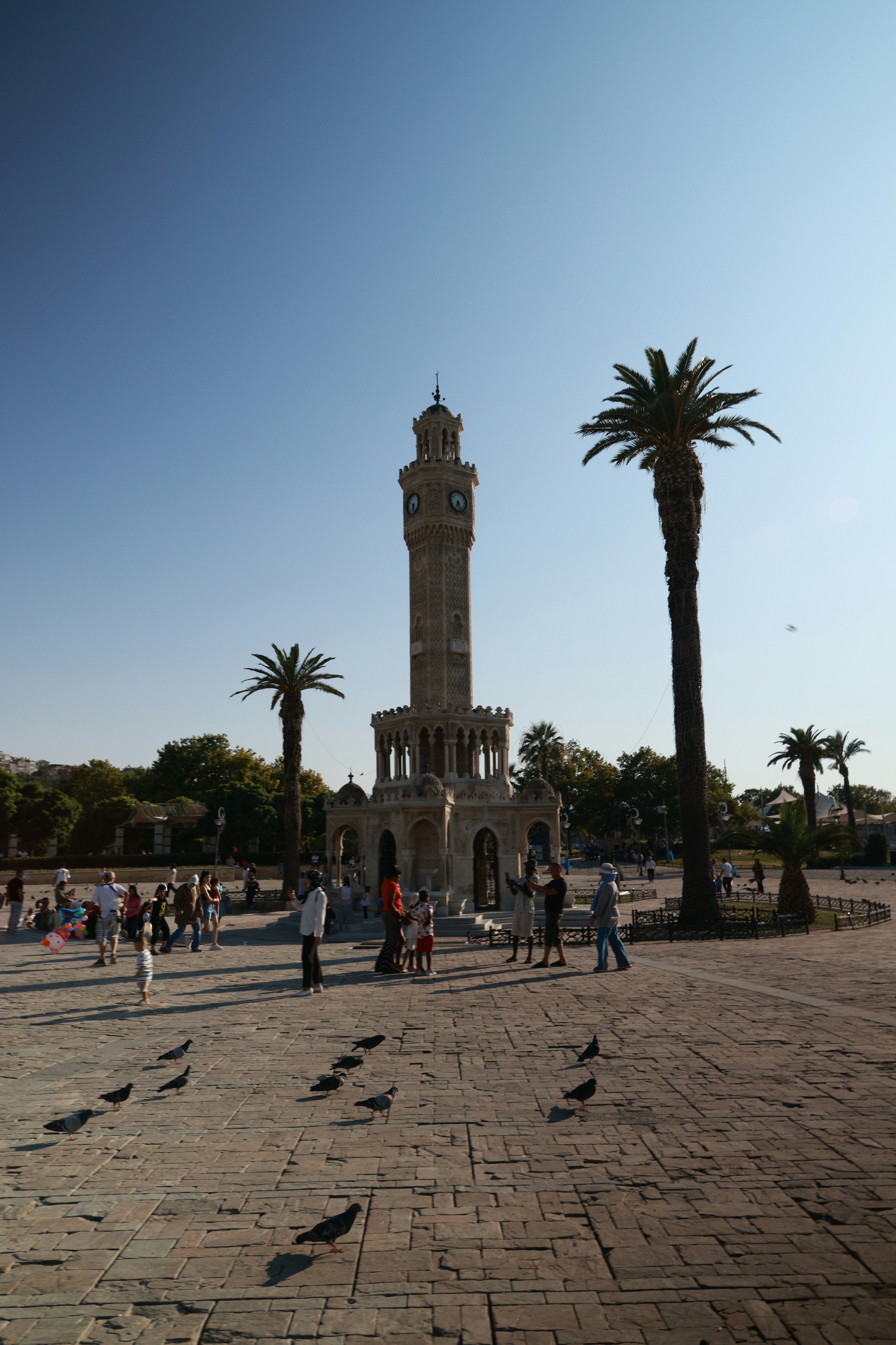 Clocktower Piazza: Sunlit Forecourt with Palm Sentinels