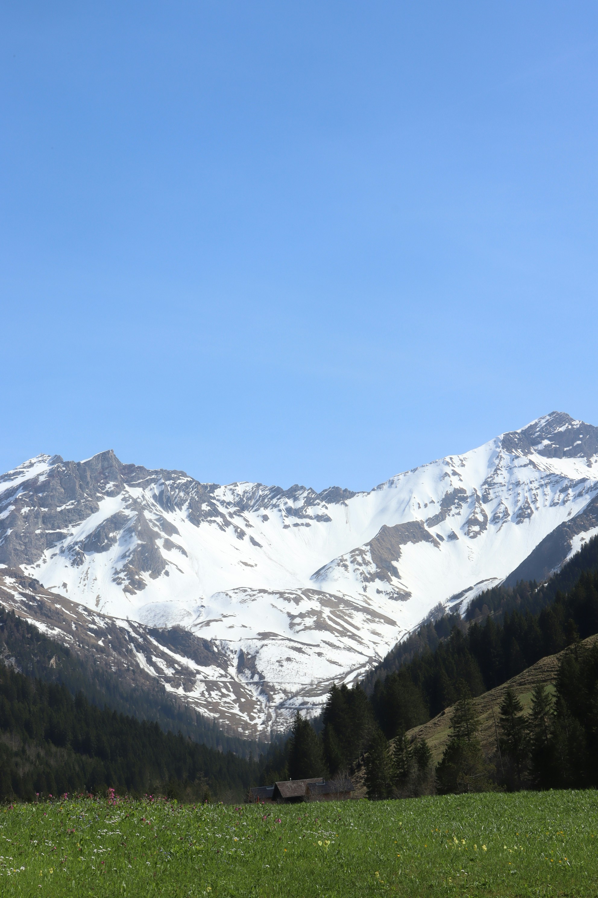Snowbound Peaks Above a Quiet Alpine Meadow