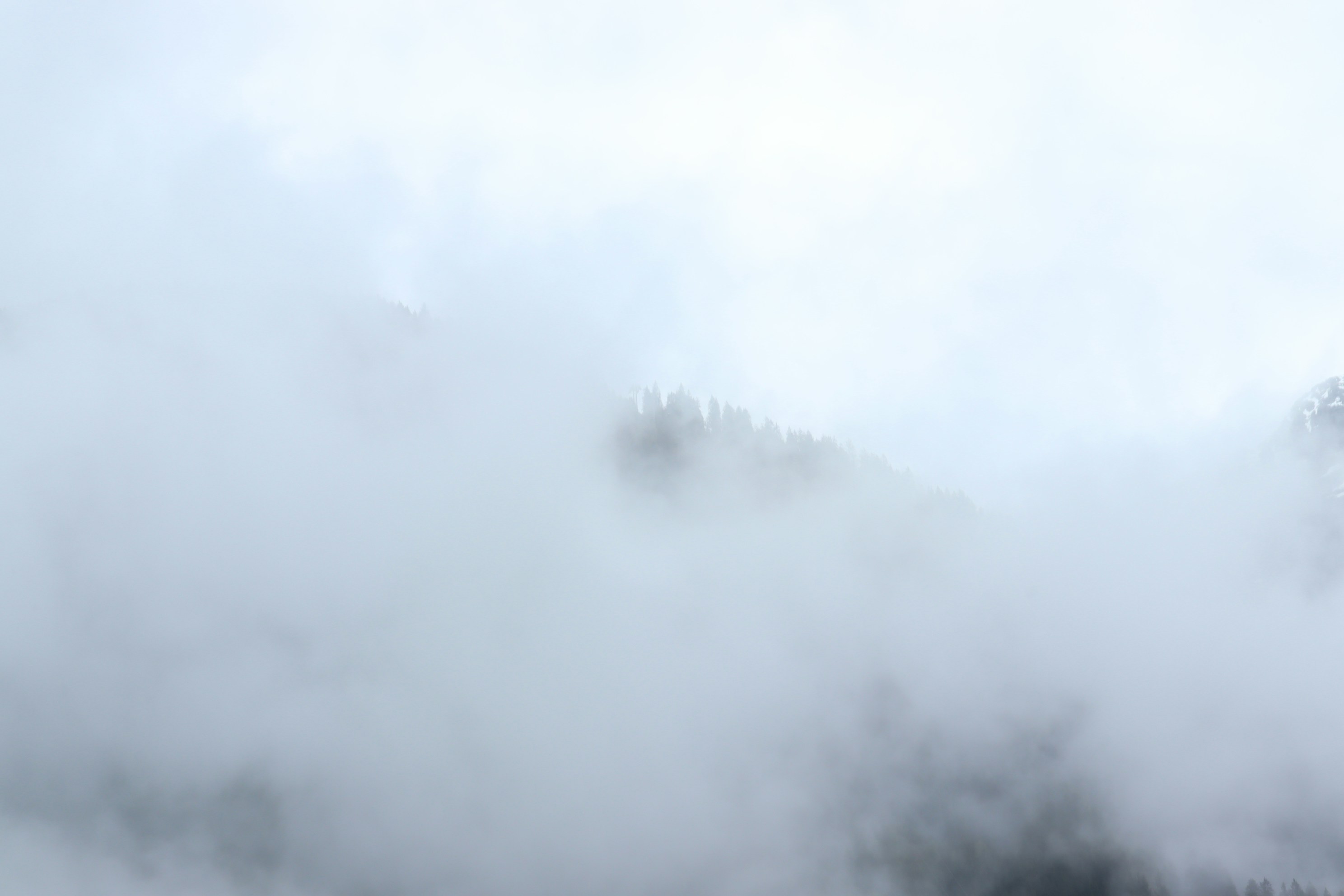 Fogbound Ridge: Peaks Emerging Through White Veil