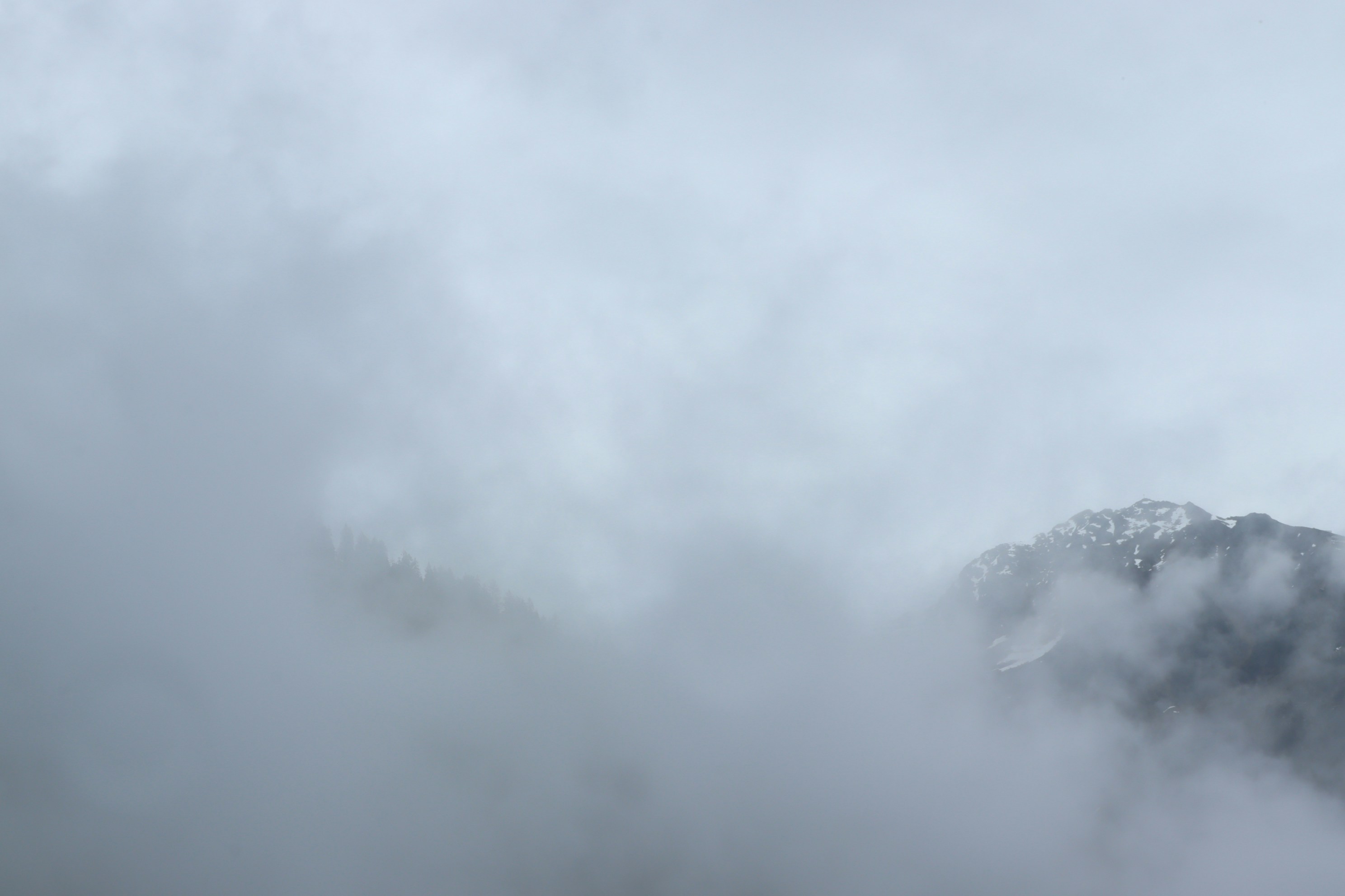 Mist-Clad Summit: Peaks Emerging Through the Veil