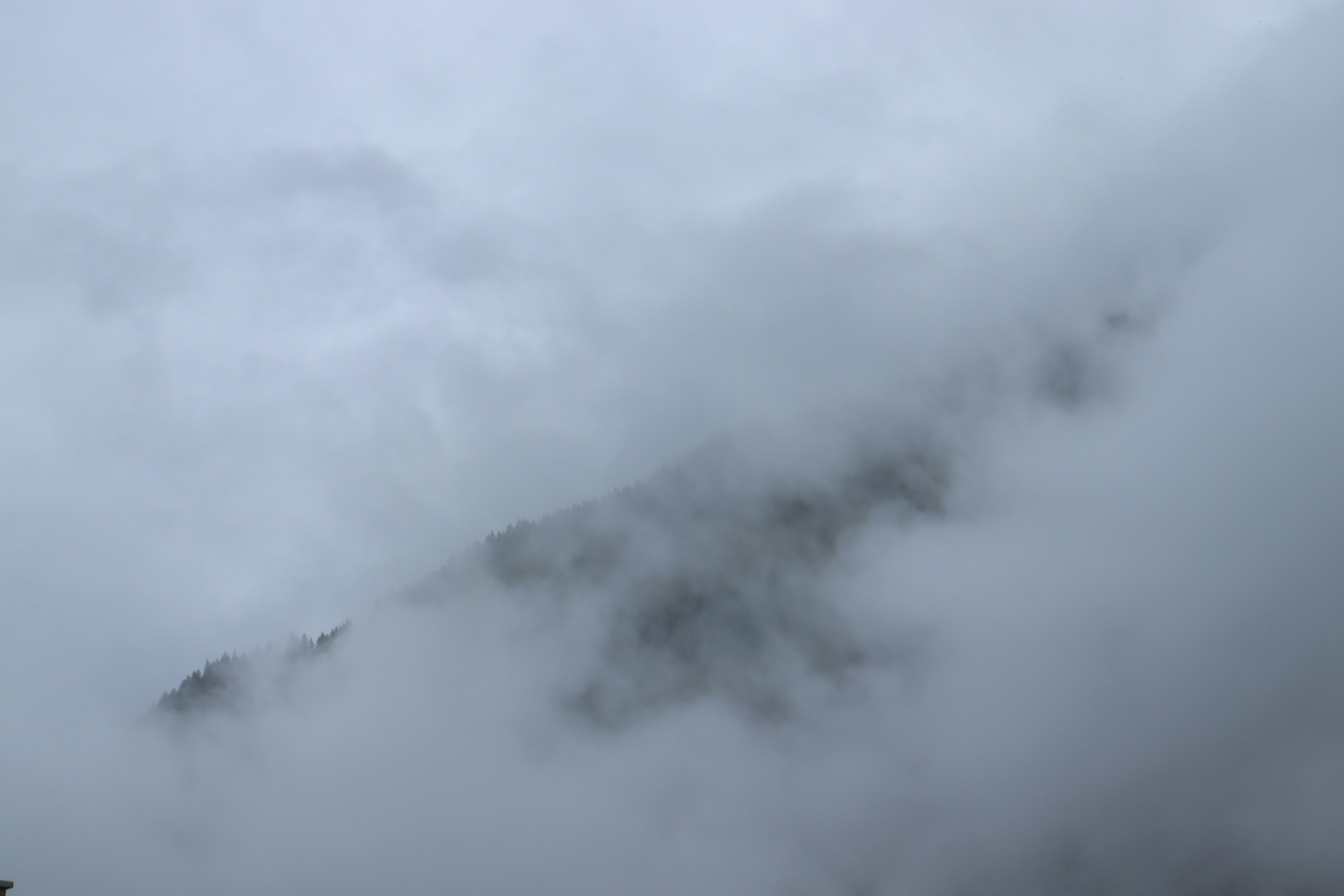 Mist Claimed Ridge: A Quiet Summit Nearly Veiled