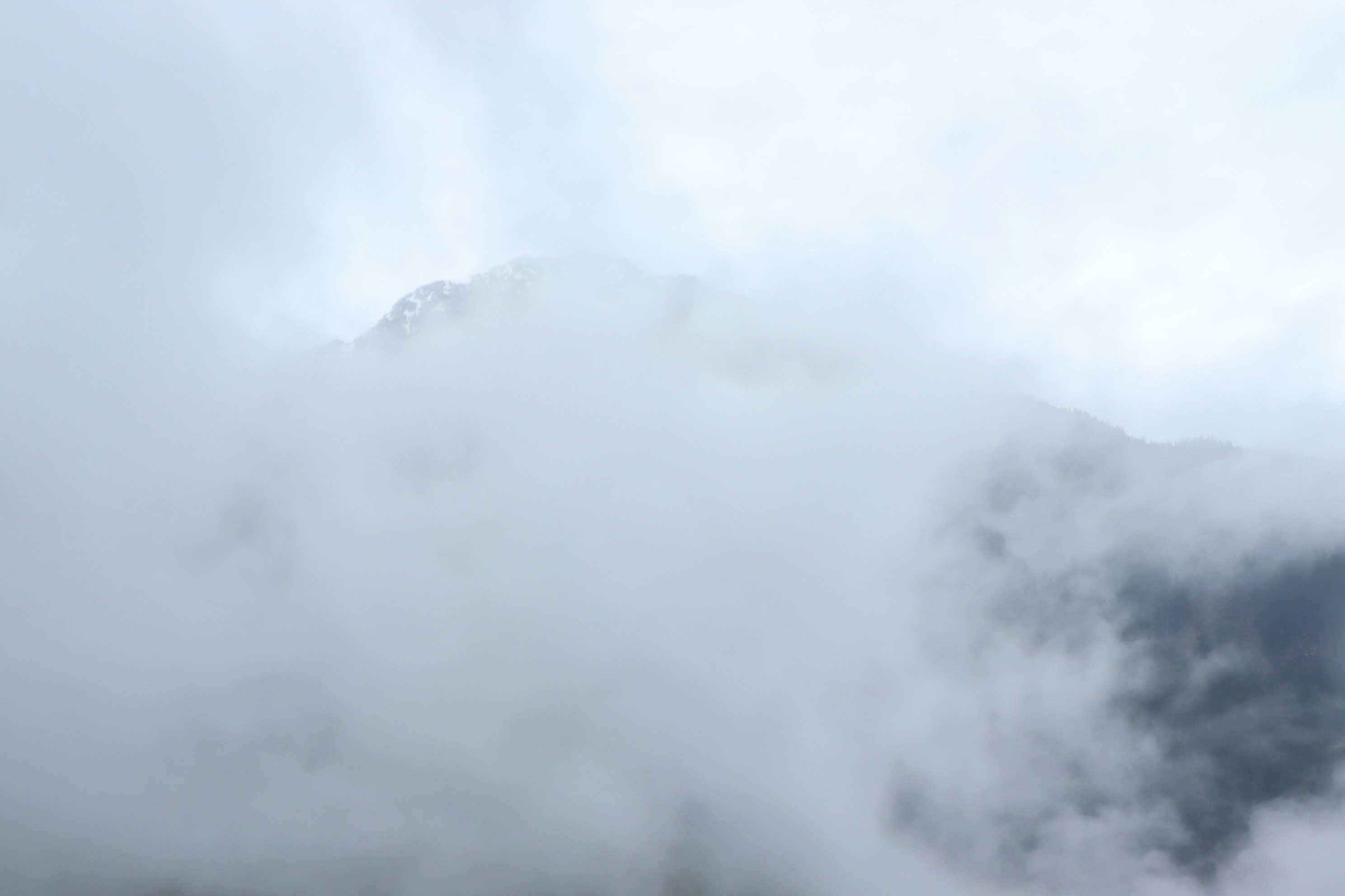 Mist-Clad Summit Emerges Through Quiet Clouds