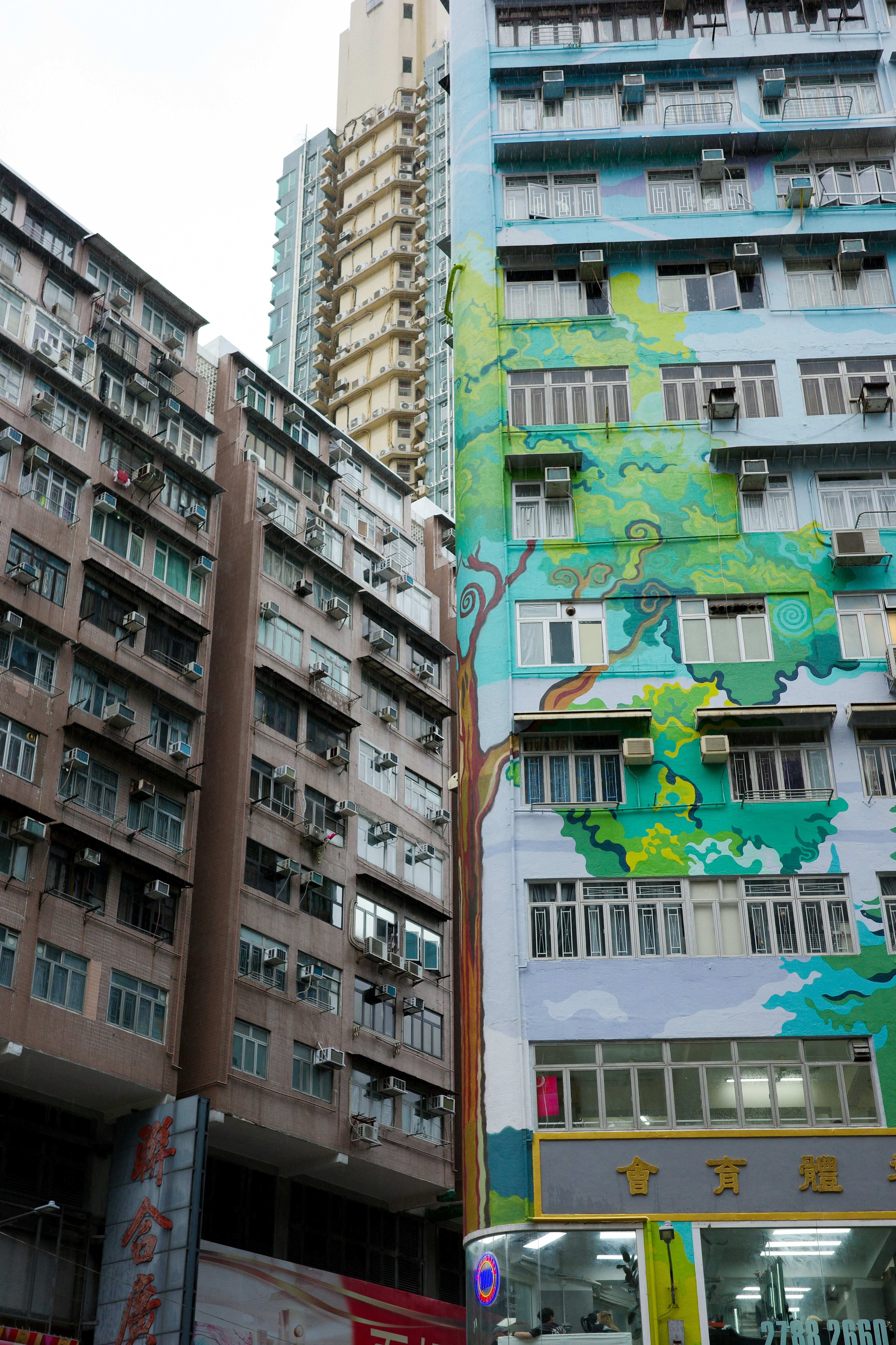 Muraled Skyscrapers: Colorful Facade Amid Dense Urban Towers