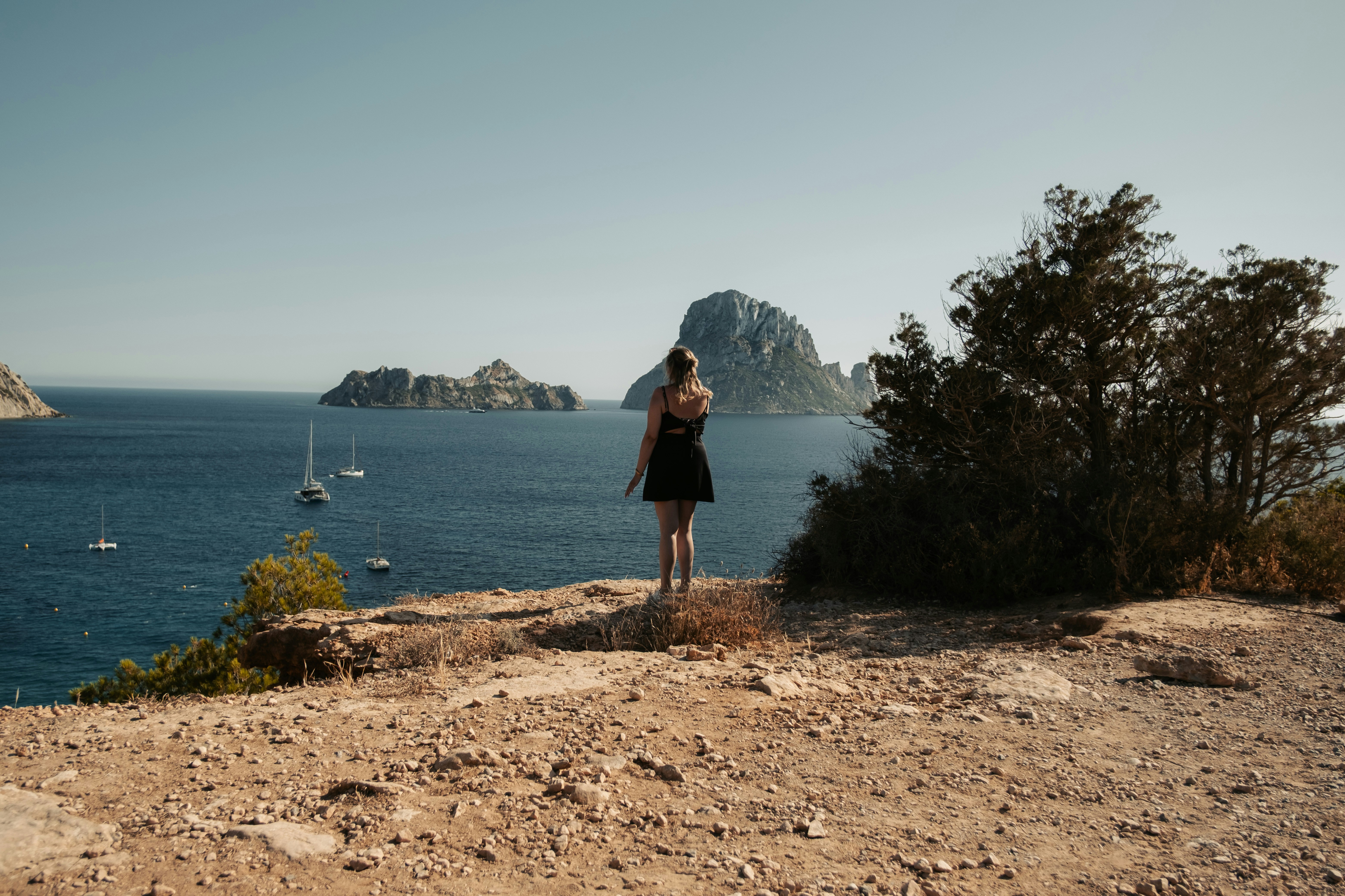Cliffside Portrait with Distant Isle and Sea