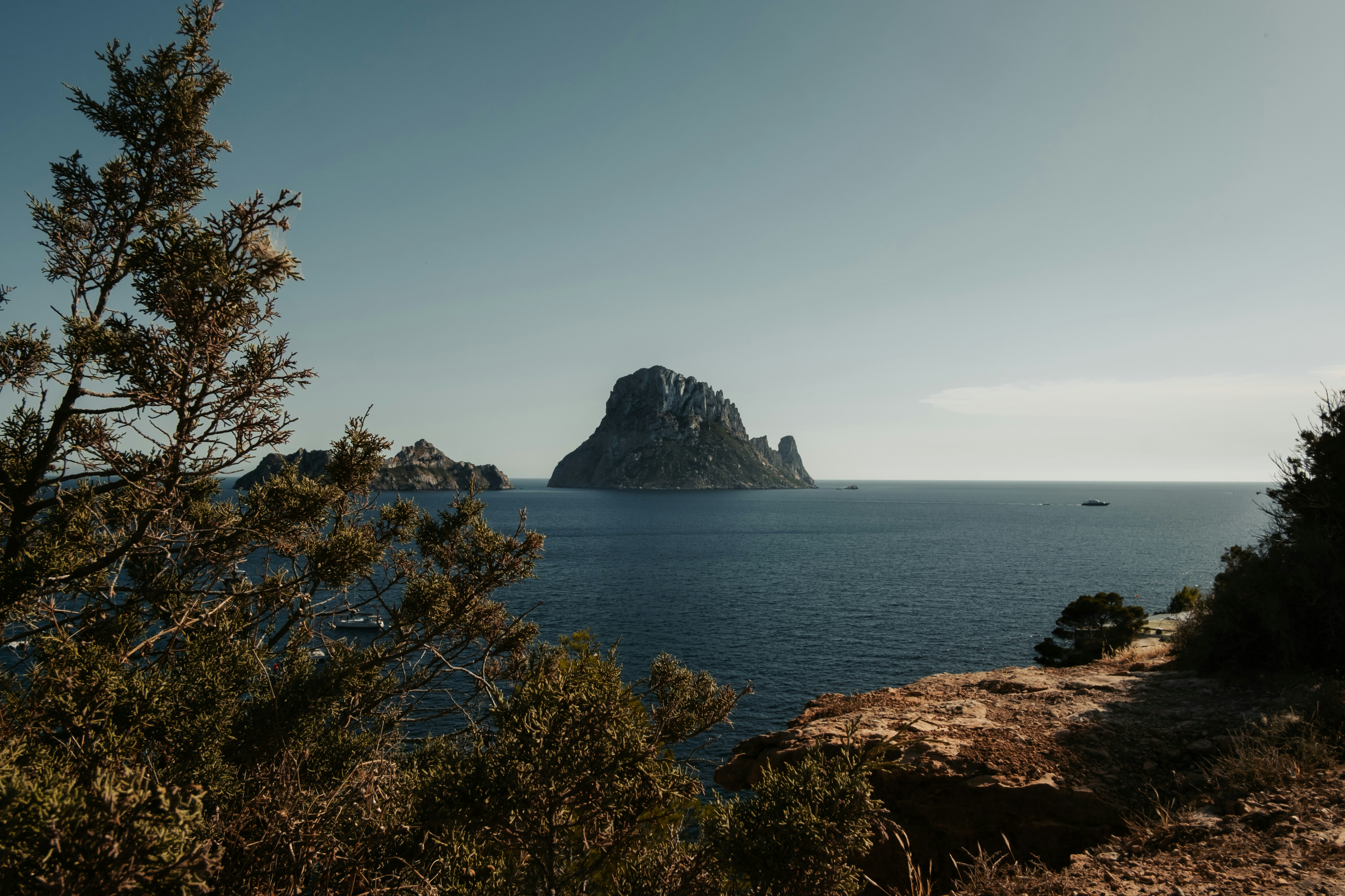 Isolated Sentinel: The Sea Rock Island Amid Coastal Pines