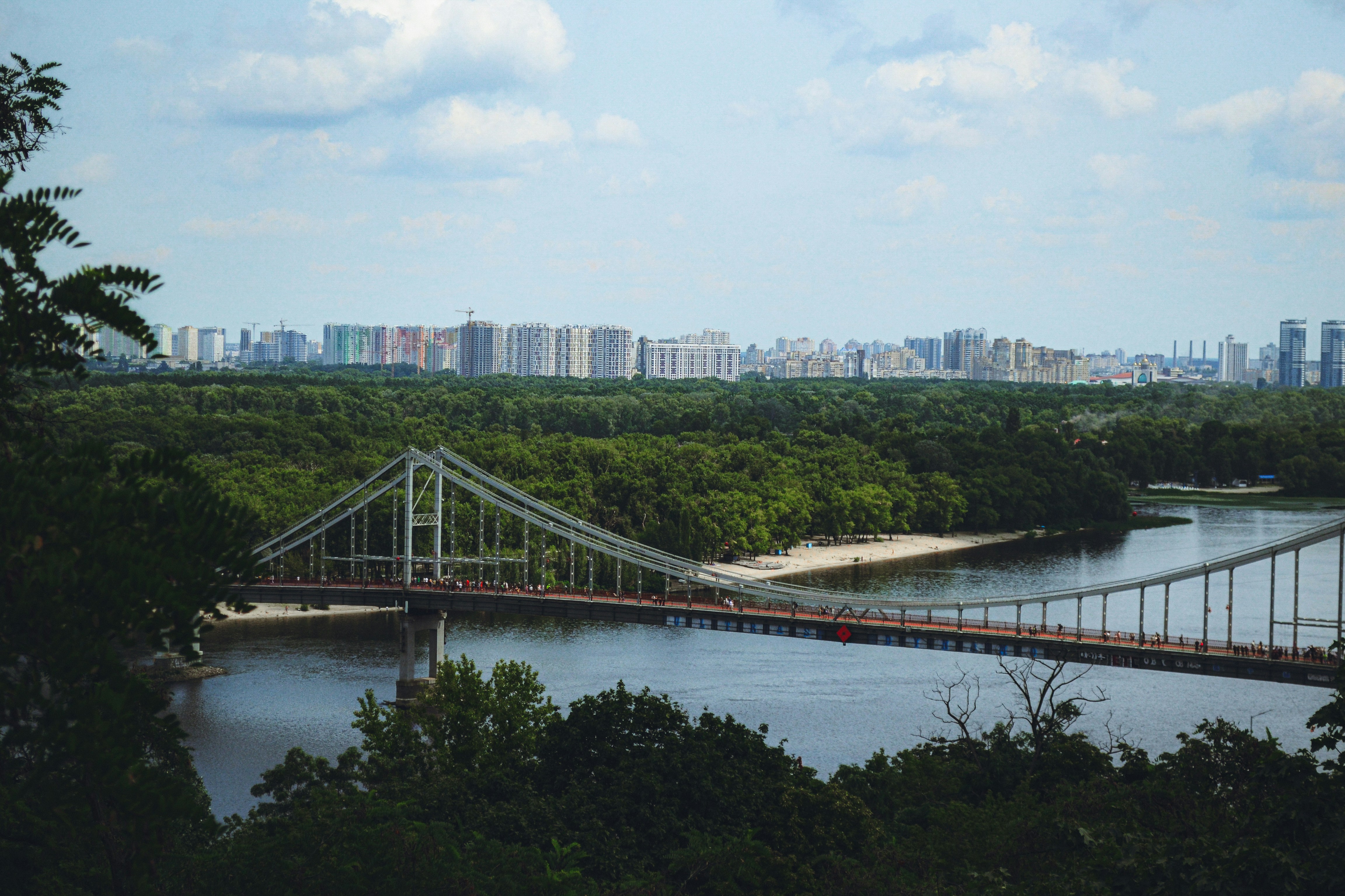 Bridge across the river framed by riverbank trees with distant city skyline