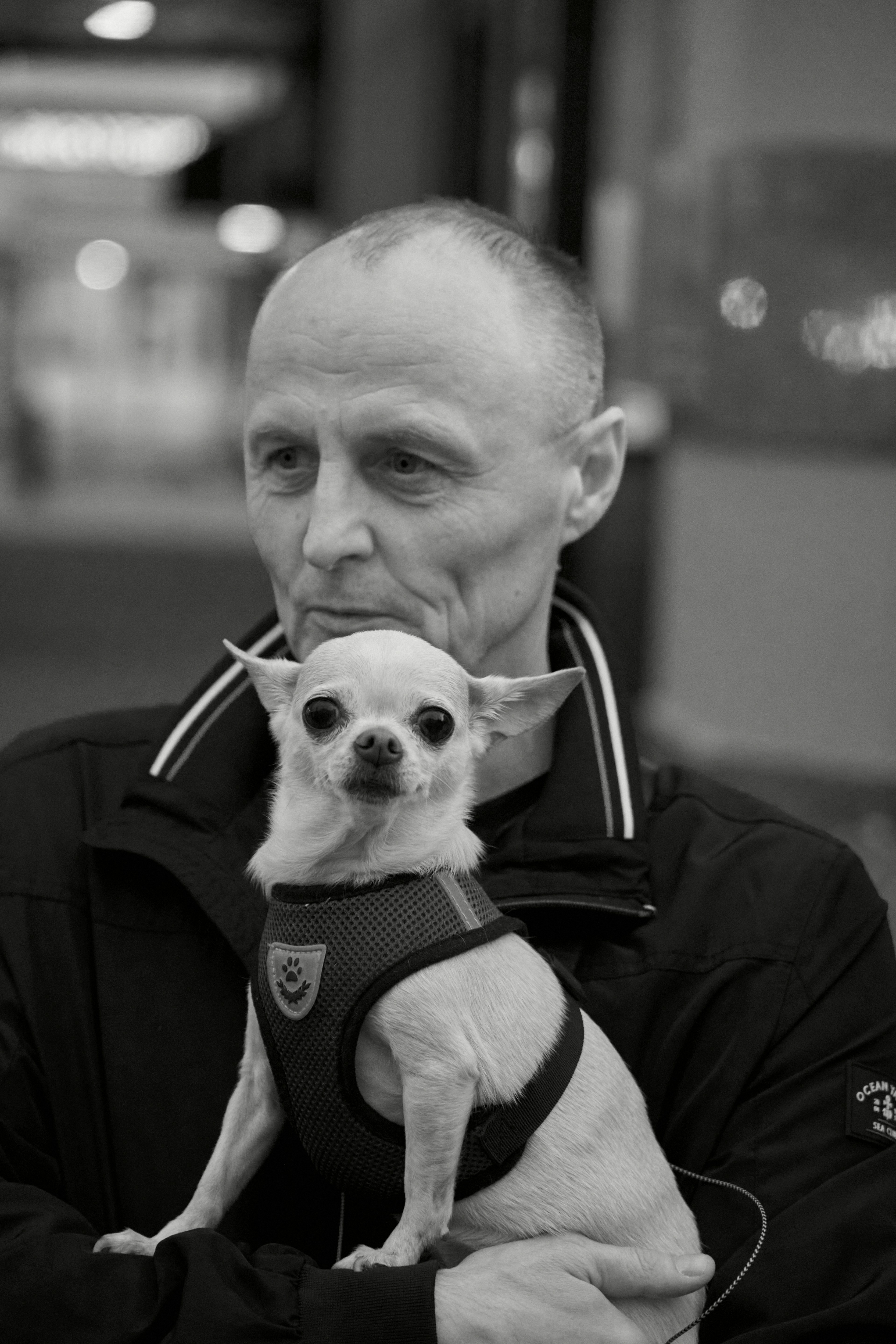 Gentle Bond: A Man and his Small Guardian