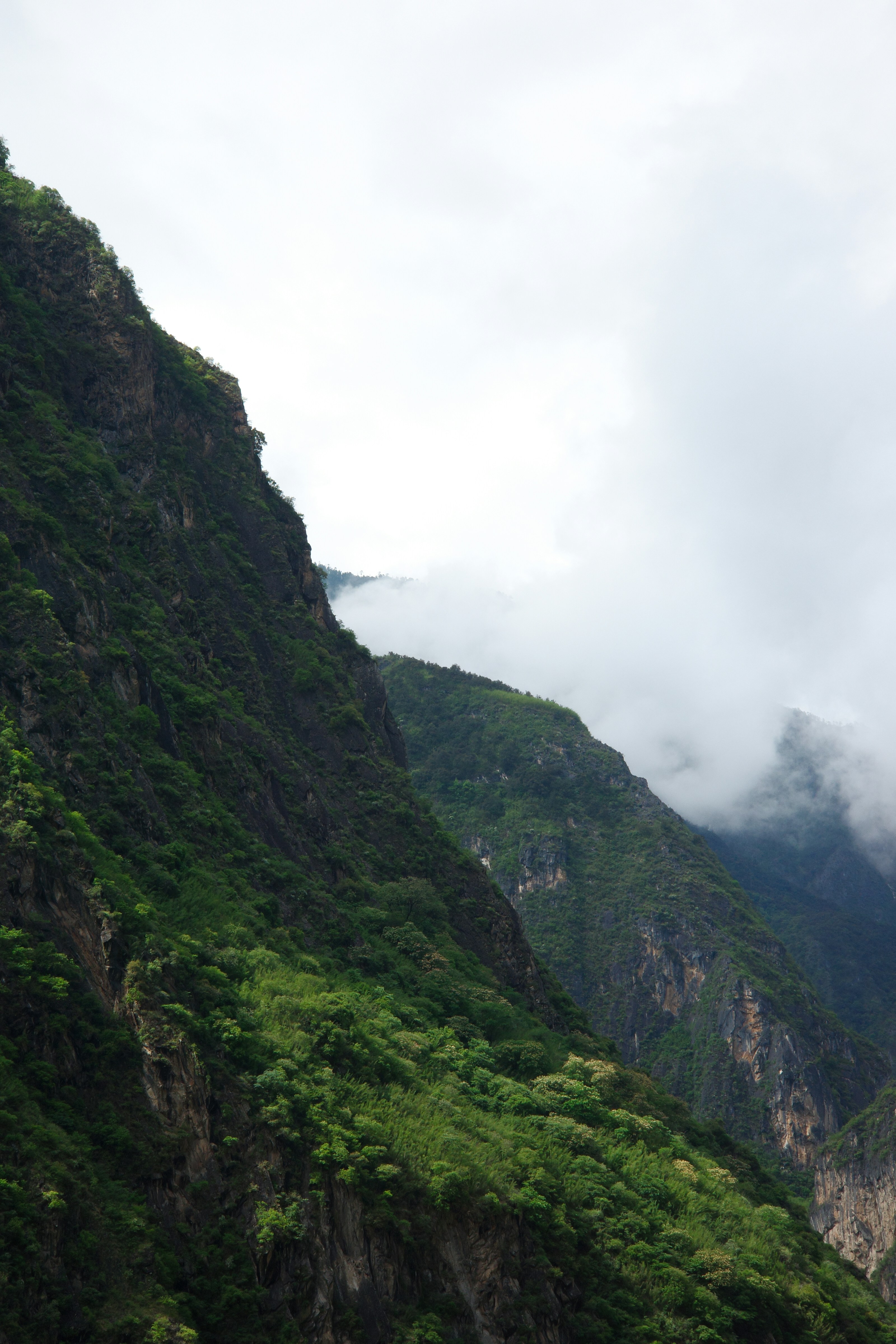 Cliffside Mist: Verdant Peaks Carved by Cloud