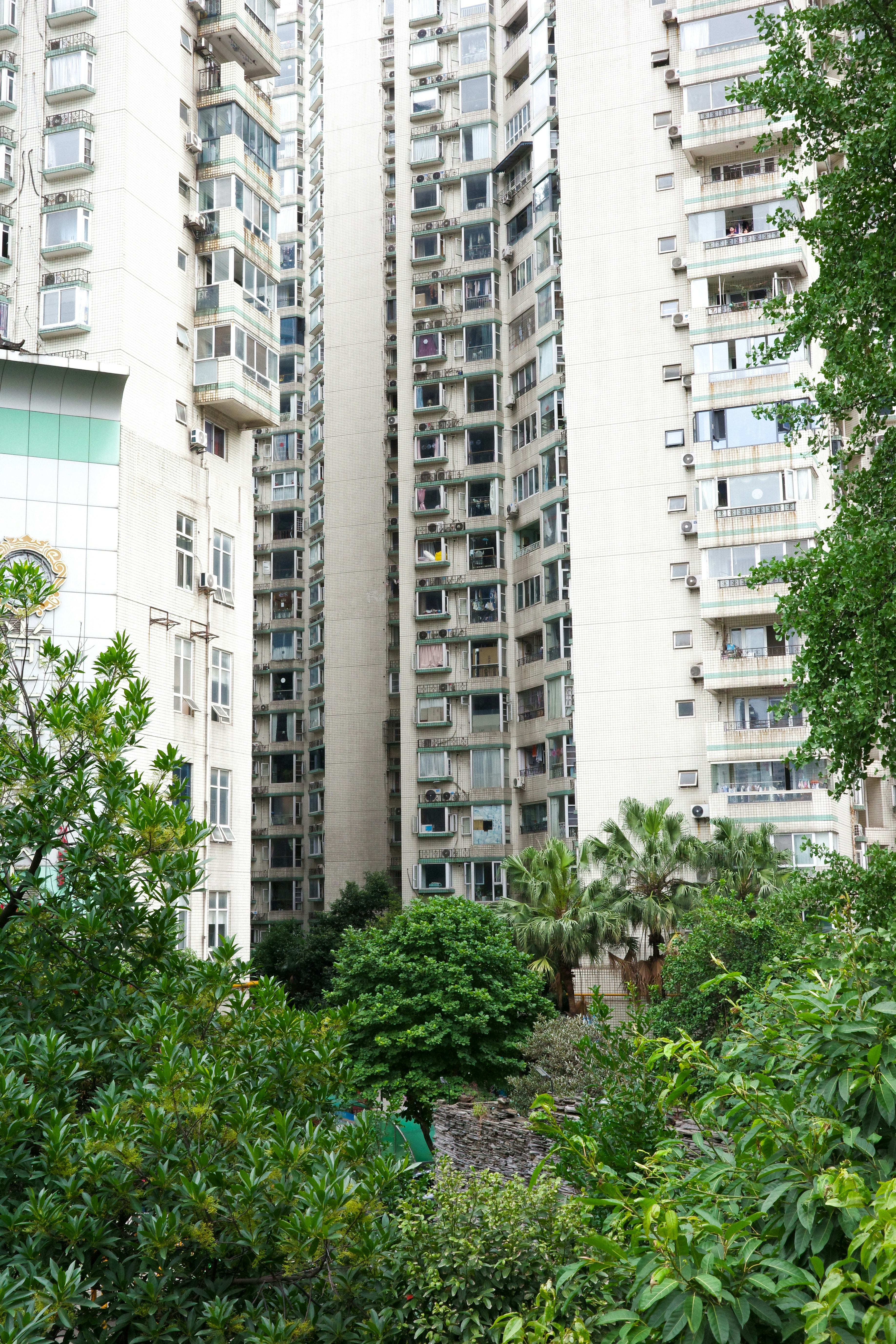 Urban Oasis Framed by Concrete Towers