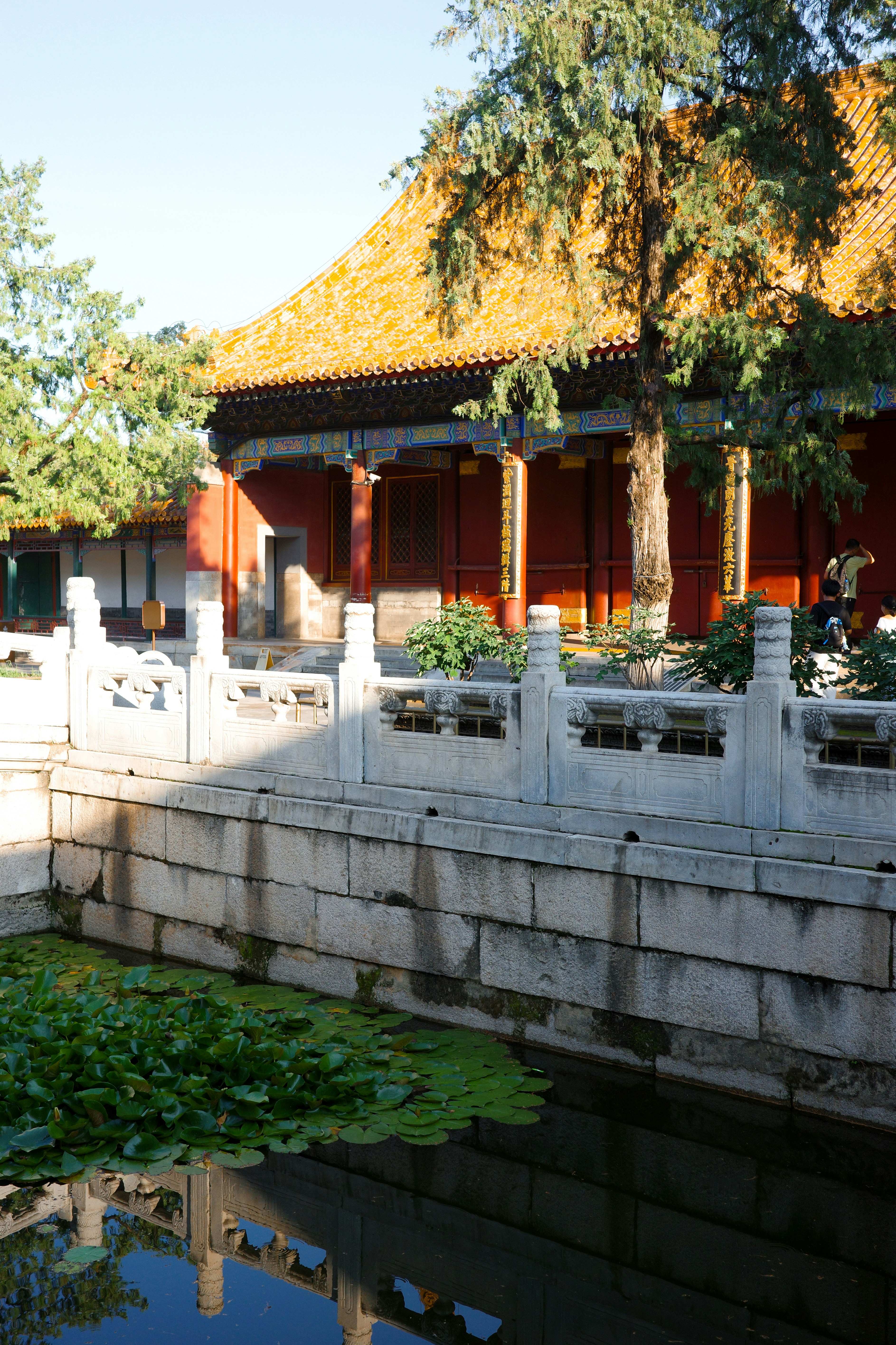 Sunlit Atrium of a Chinese Terrace