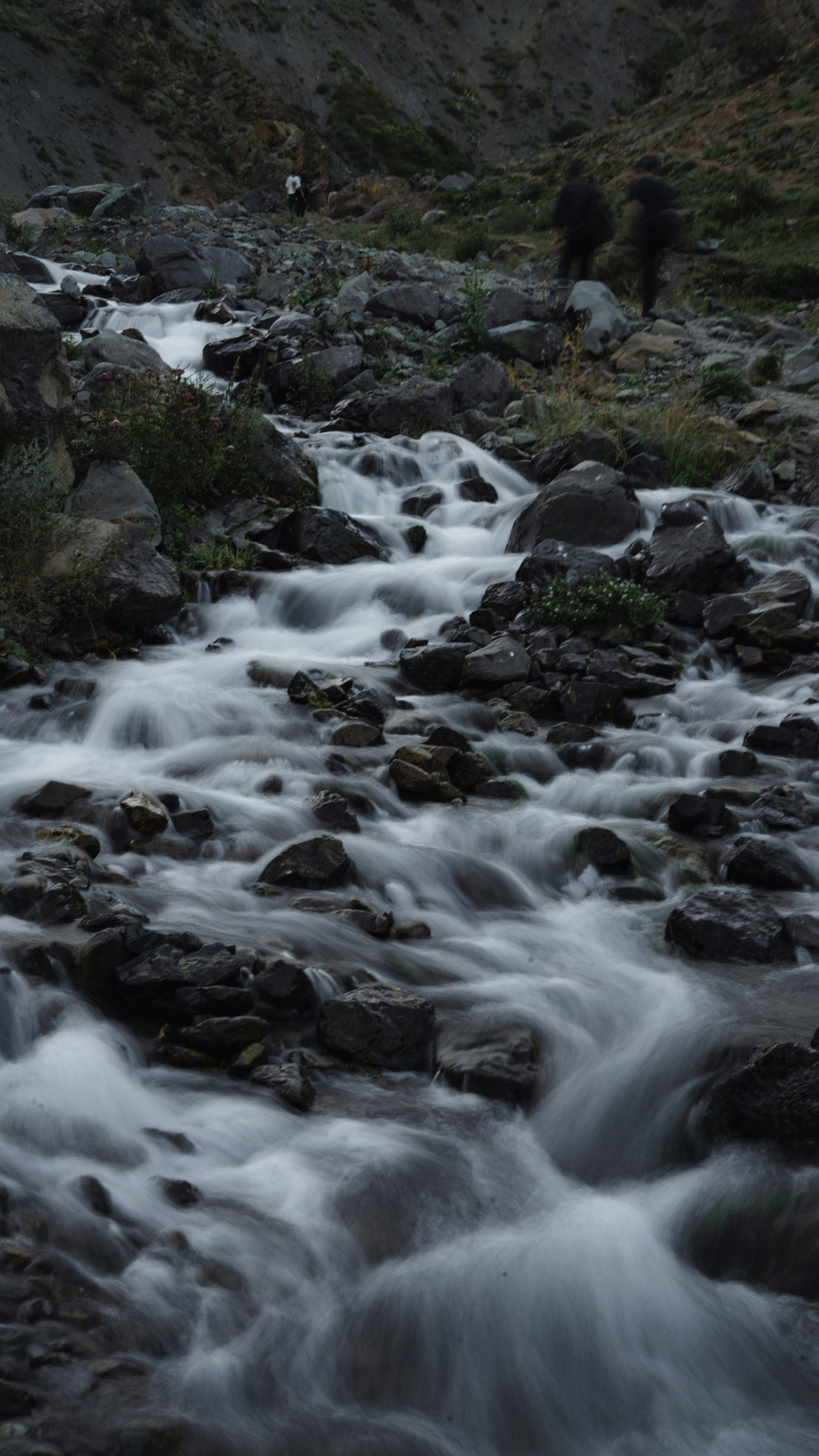 Rushing Secrets of the Mountain Stream