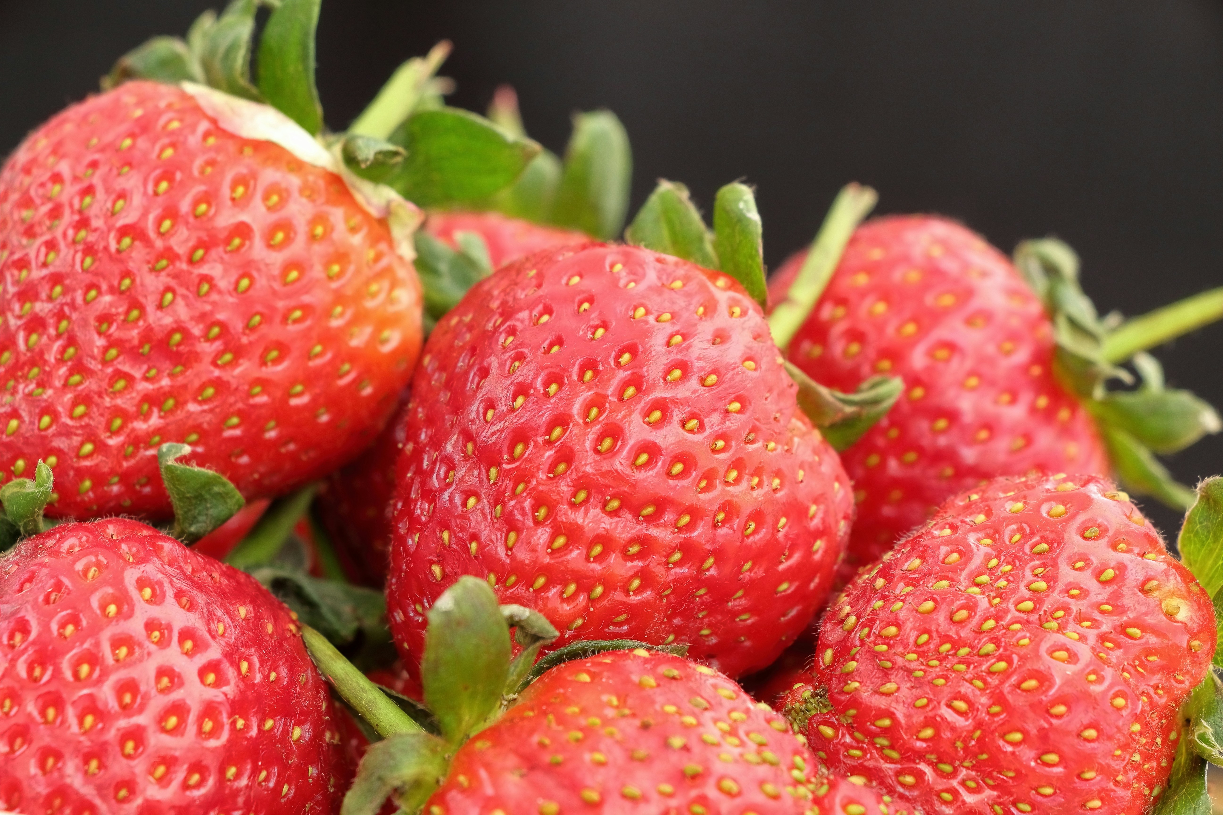 Juicy Red Clusters: Strawberry Tartistry in Focus