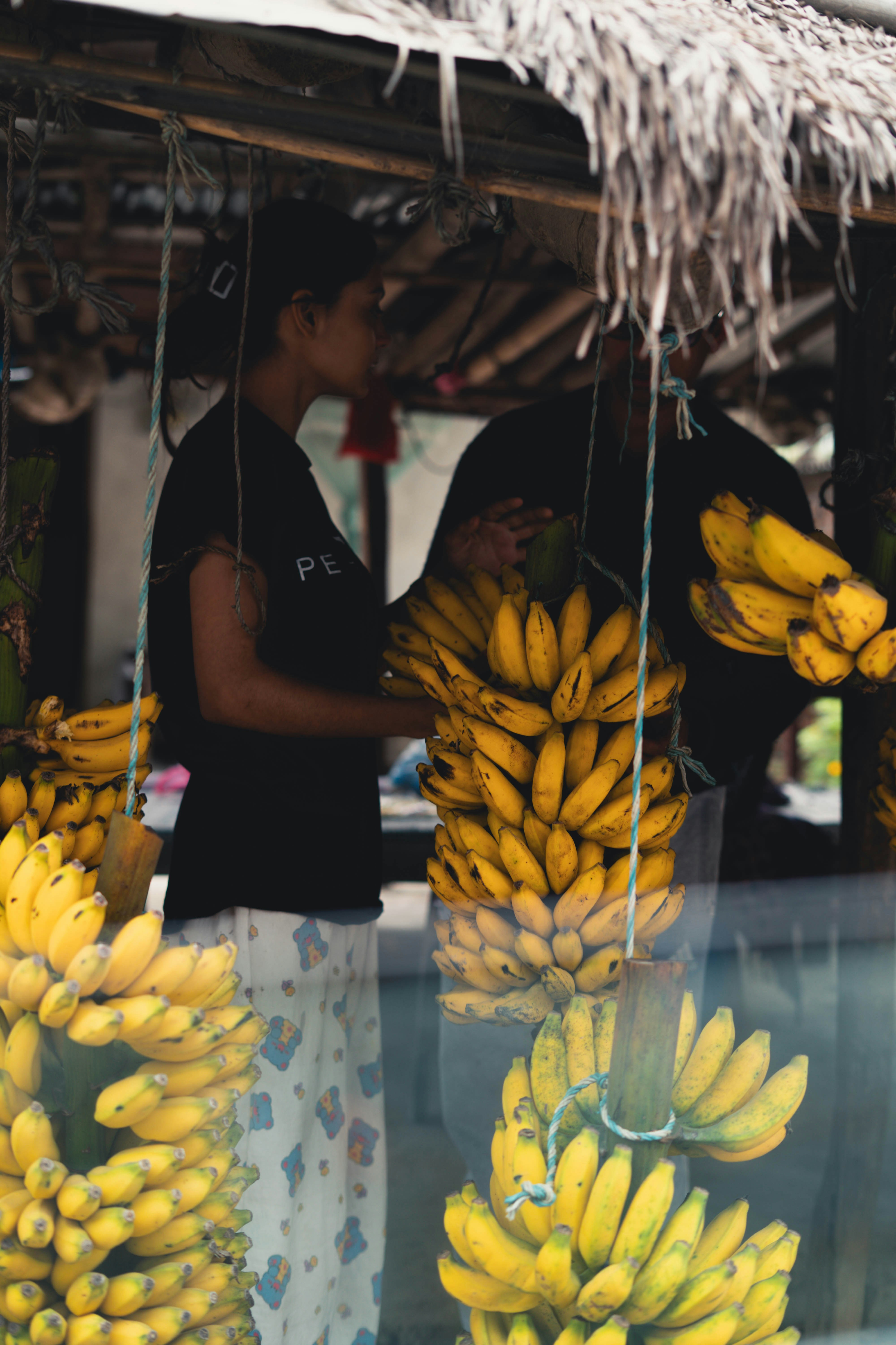 Banana market under thatched shade