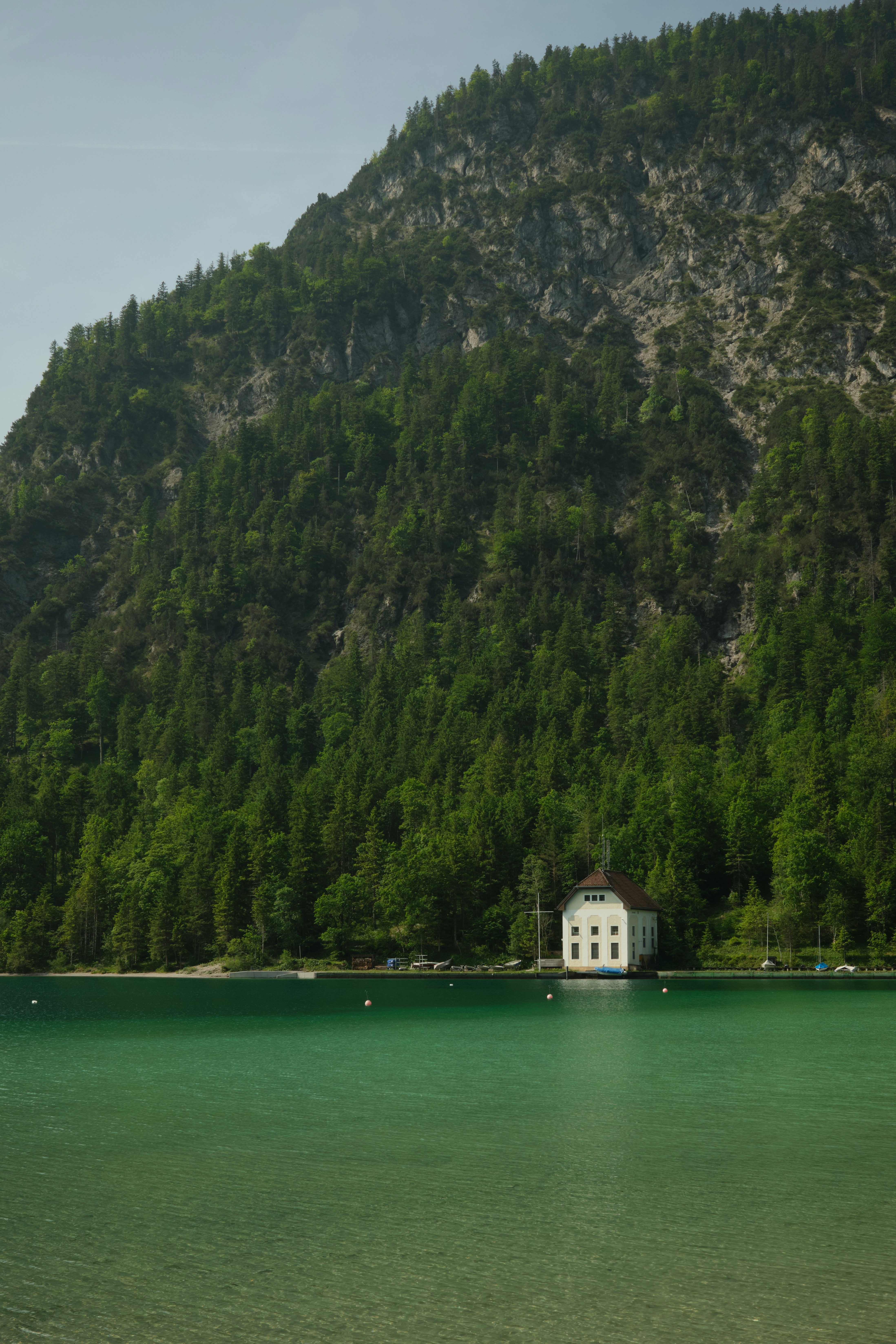 Lakeside House at the Foot of a Forested Alpine Wall