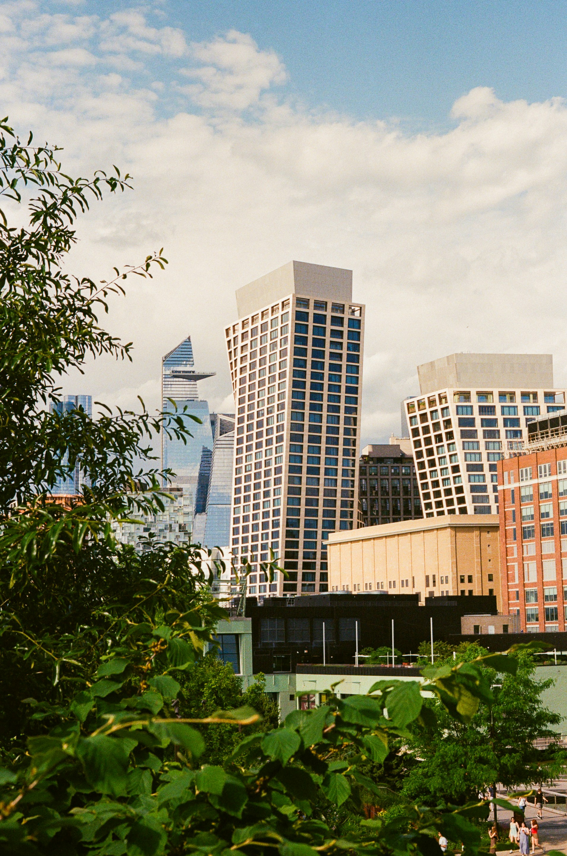 Modern Manhattan buildings framed by lush summer foliage, photographed on film with warm light and a quiet, nostalgic atmosphere.