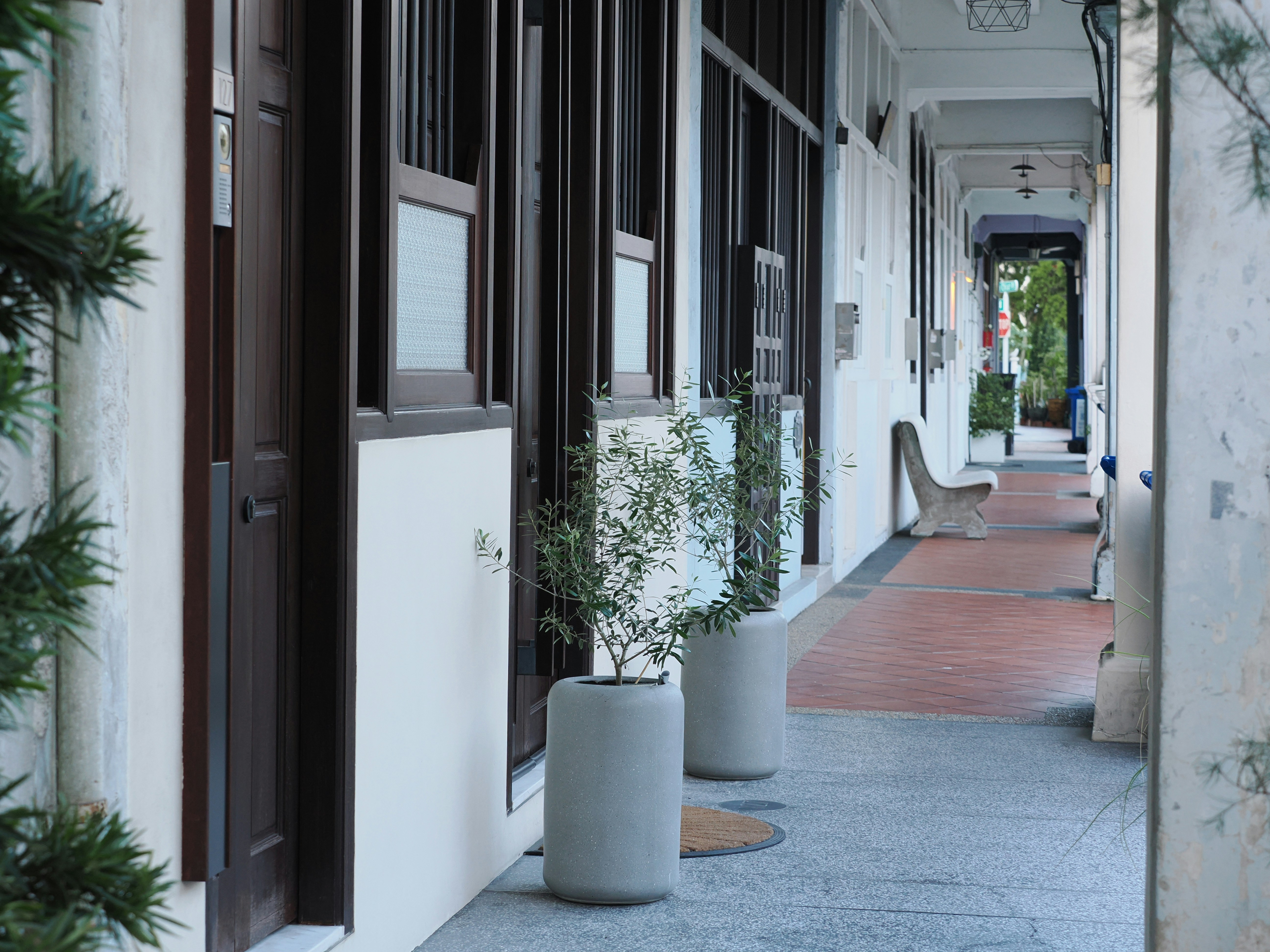 A Quiet Arc: Plant Pots Line a Tourist Lane