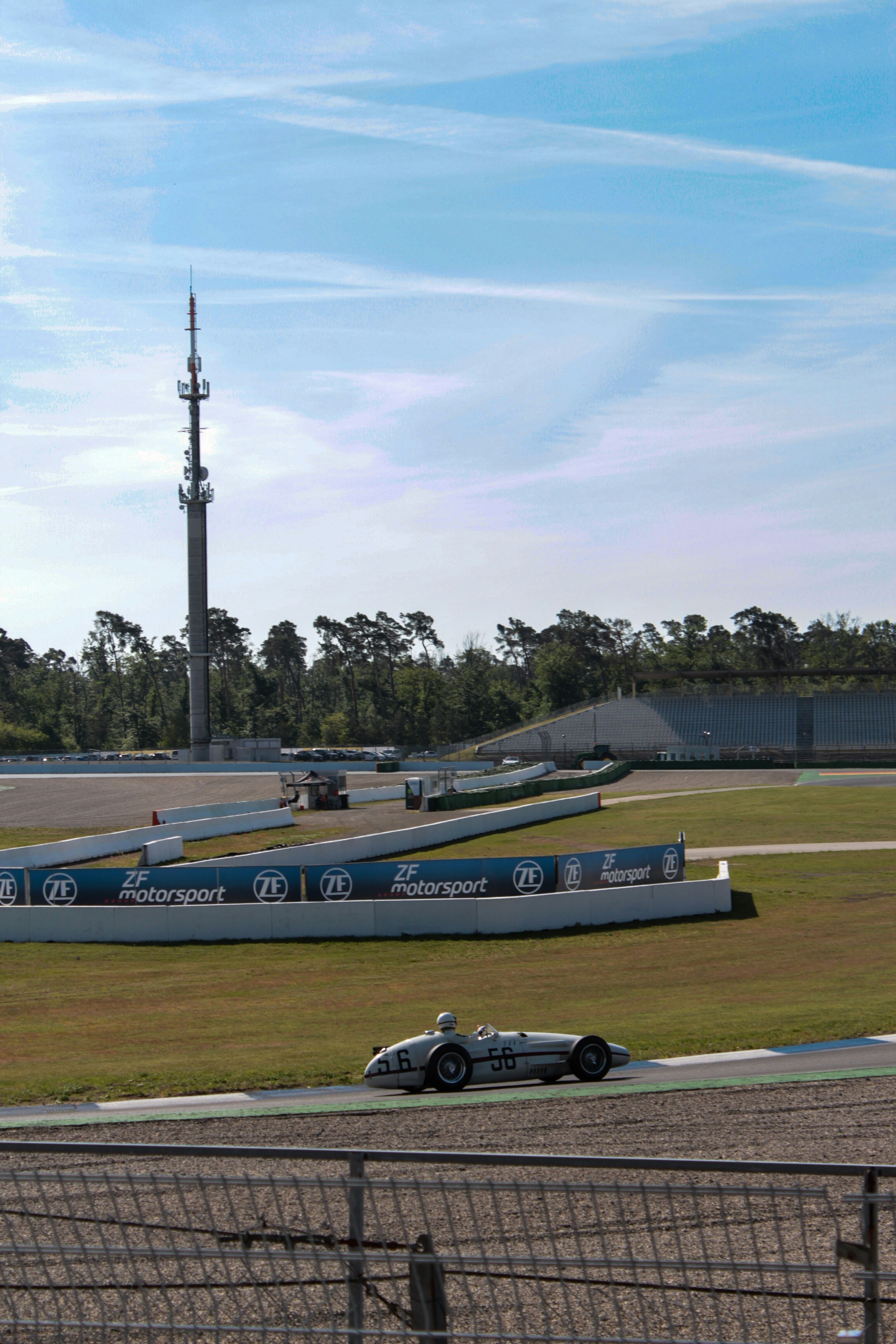 Greyhound on the Glide: A Classic Racer Passes the Curved Track