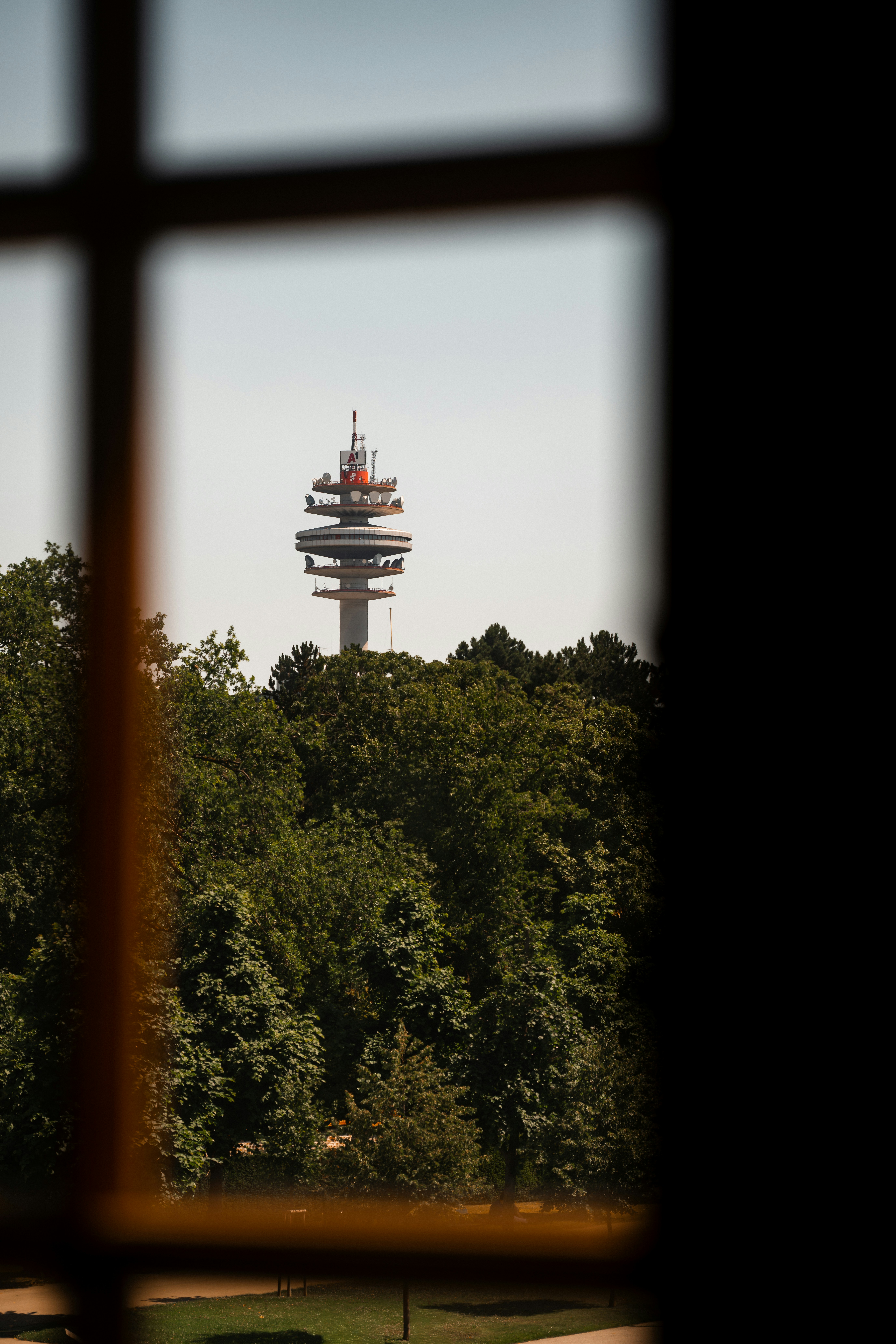 Observation Tower Piercing through the Green Canopy