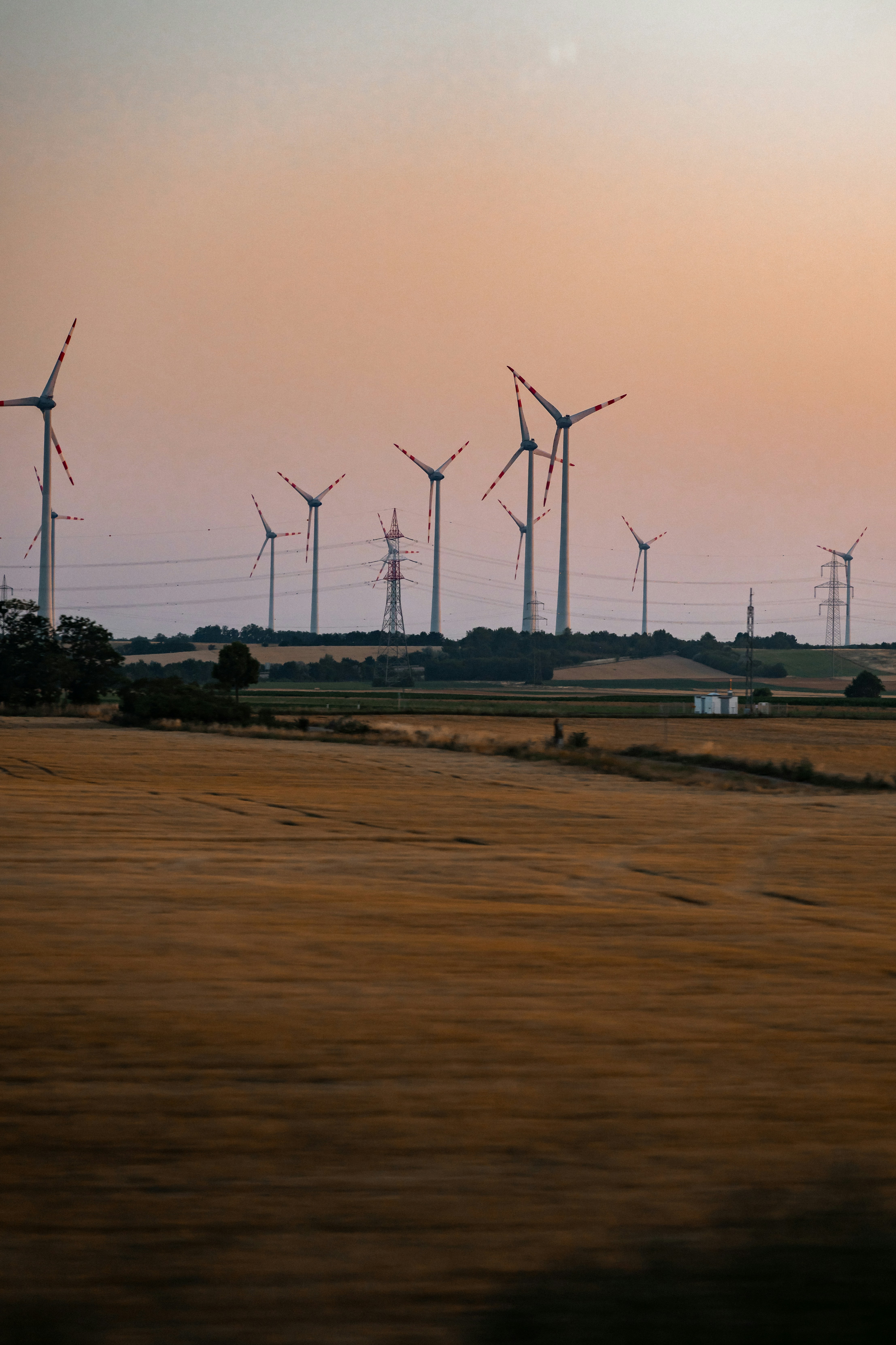 Wind turbines and power lines stand in fields at sunset.