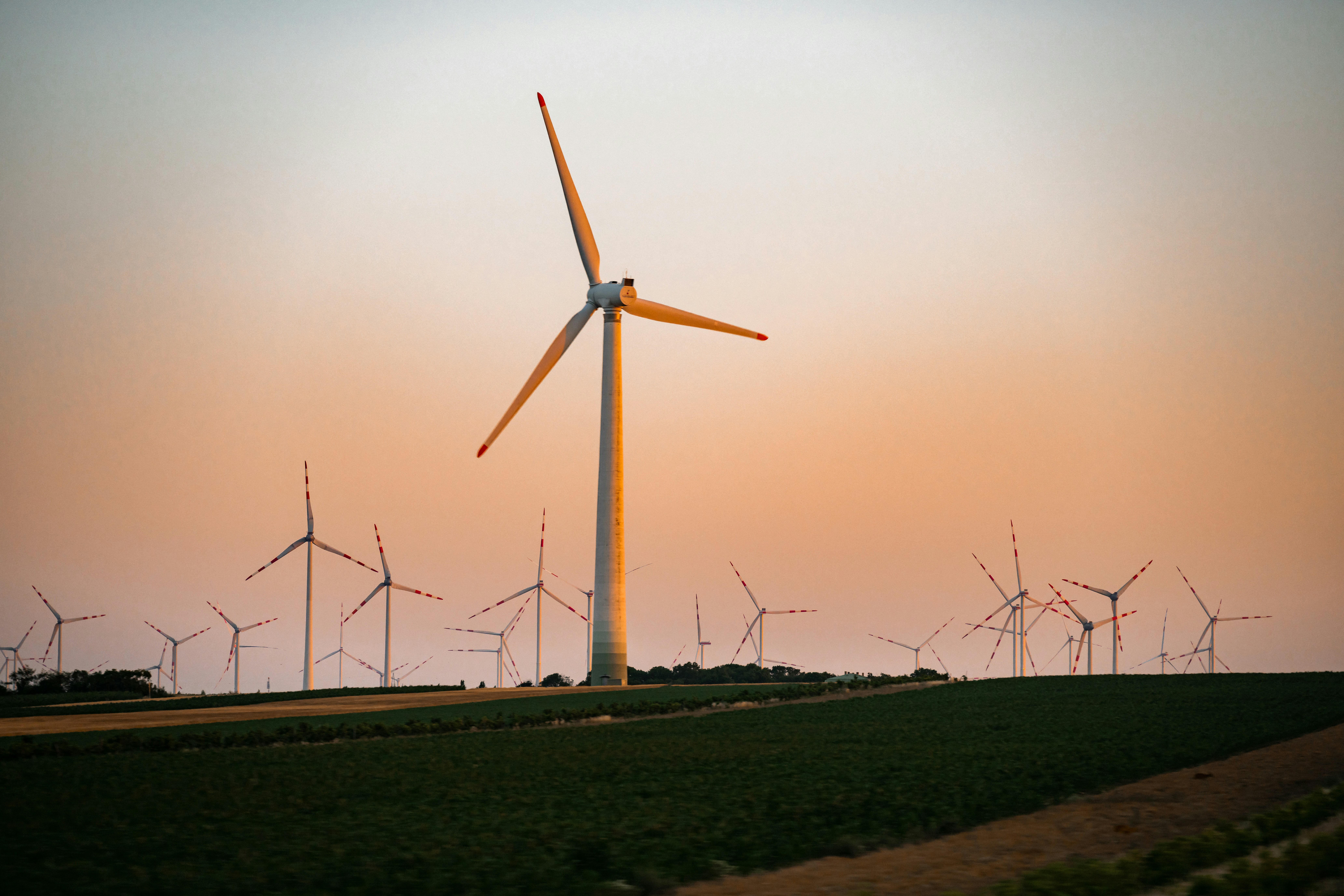 Wide field of wind turbines at sunset with a prominent central turbine; landscape scene emphasizing renewable energy infrastructure.