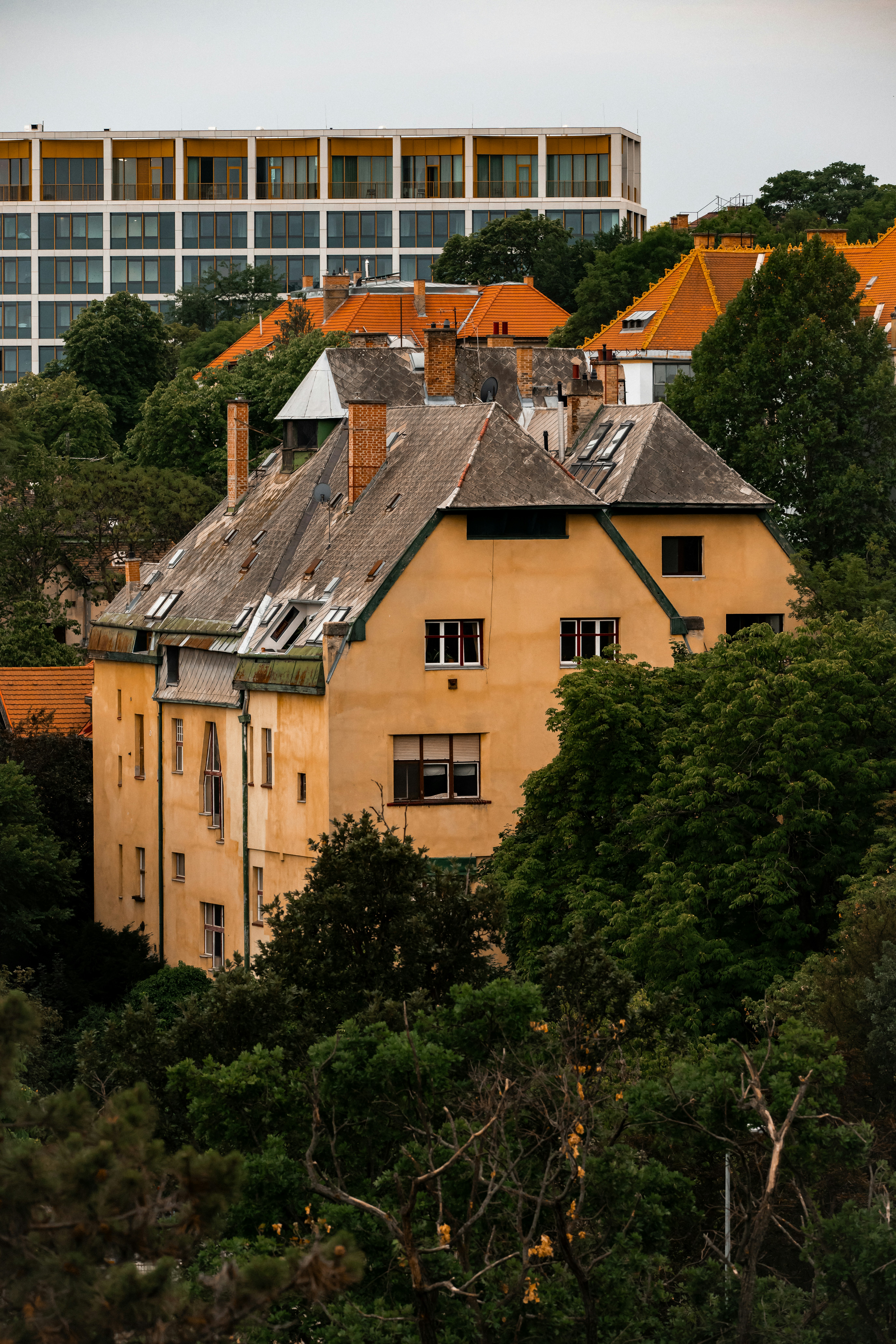 Sunlit Ochre Homes Rising Through Green Canopy