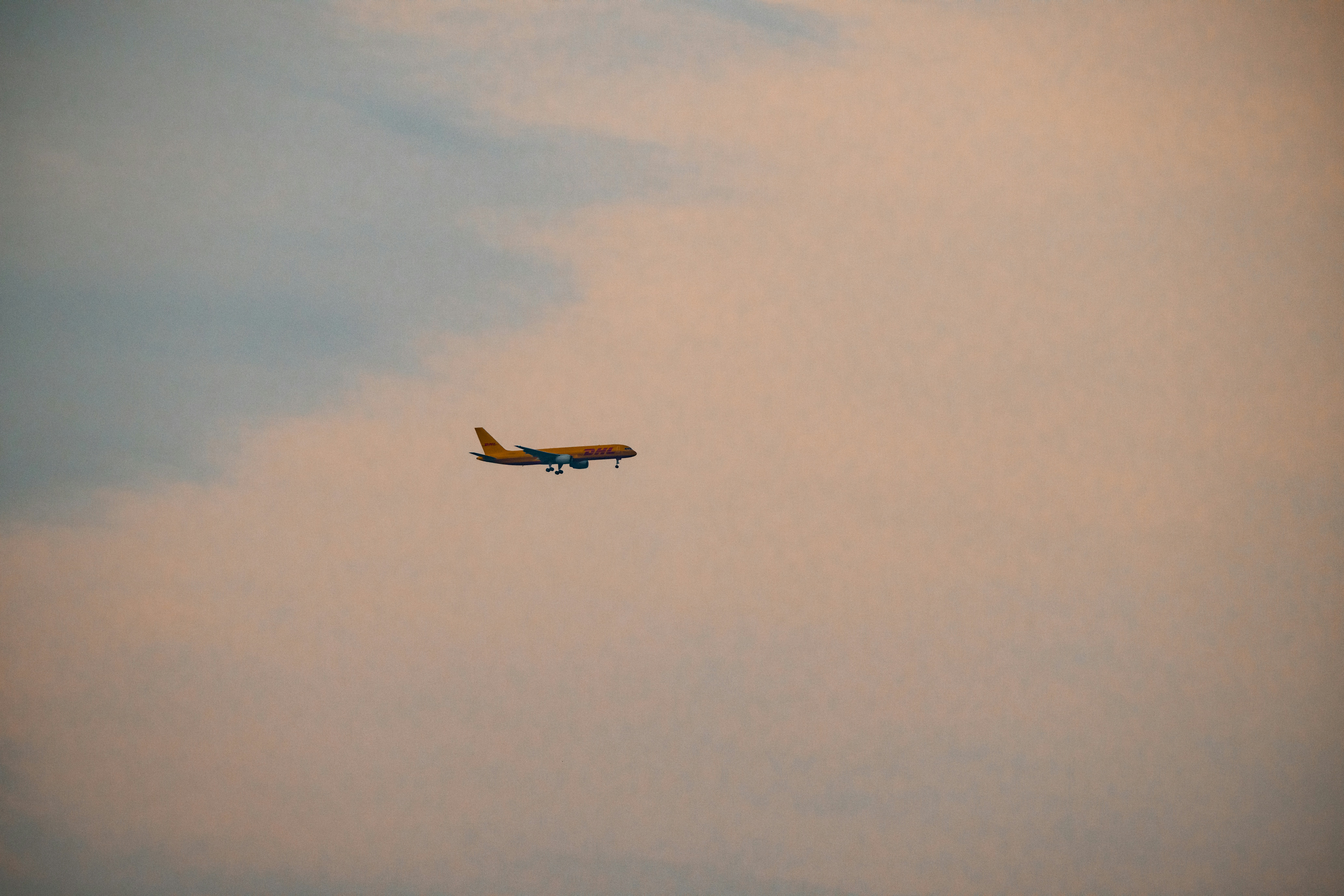 Soaring Pinstripe: A lone plane traces a pale horizon