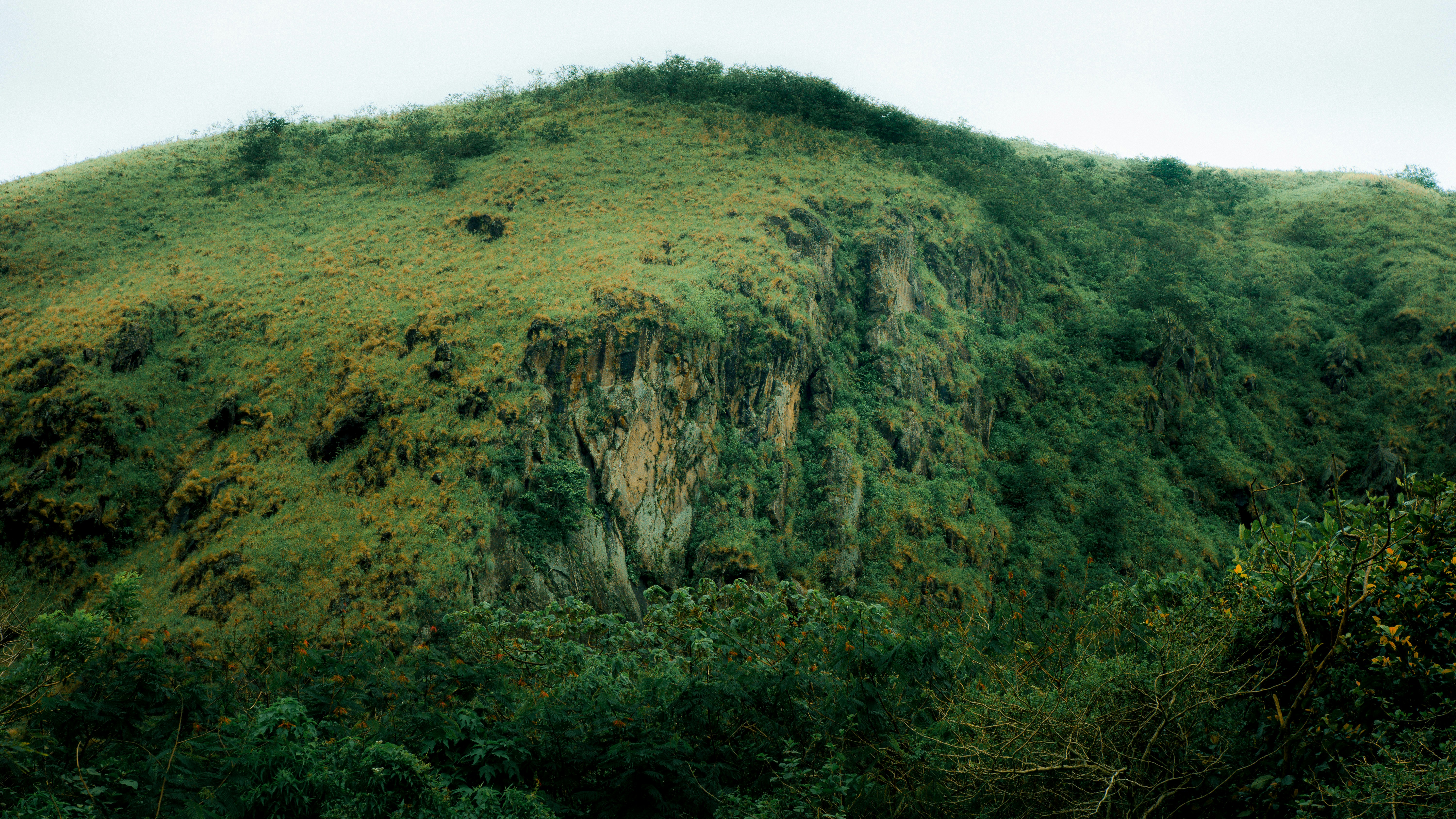 Verdant Ridge: A Coastal Hill Streaked with Olive and Moss