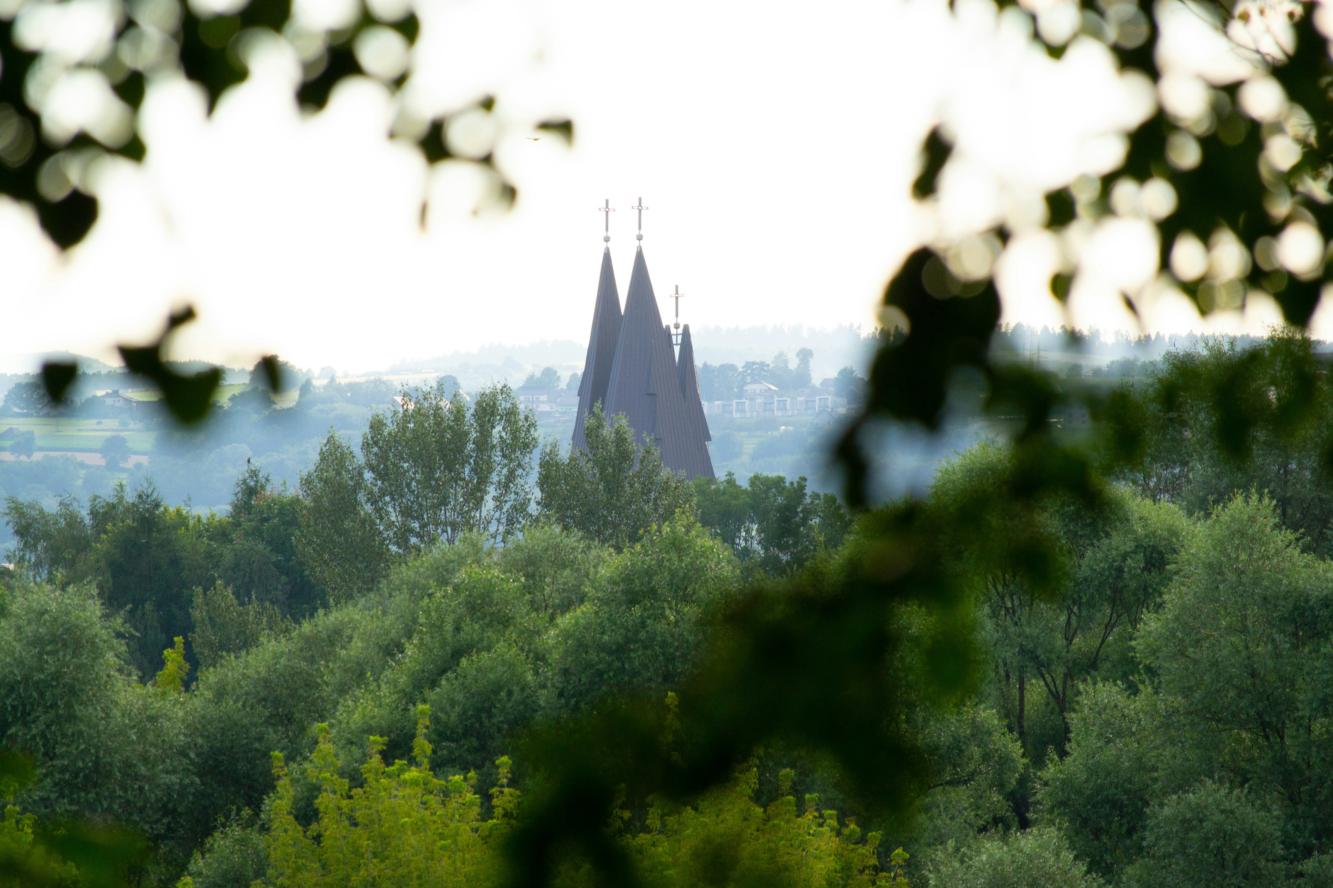 Forest Framed Cathedrals: Trees Embrace a City Landmark