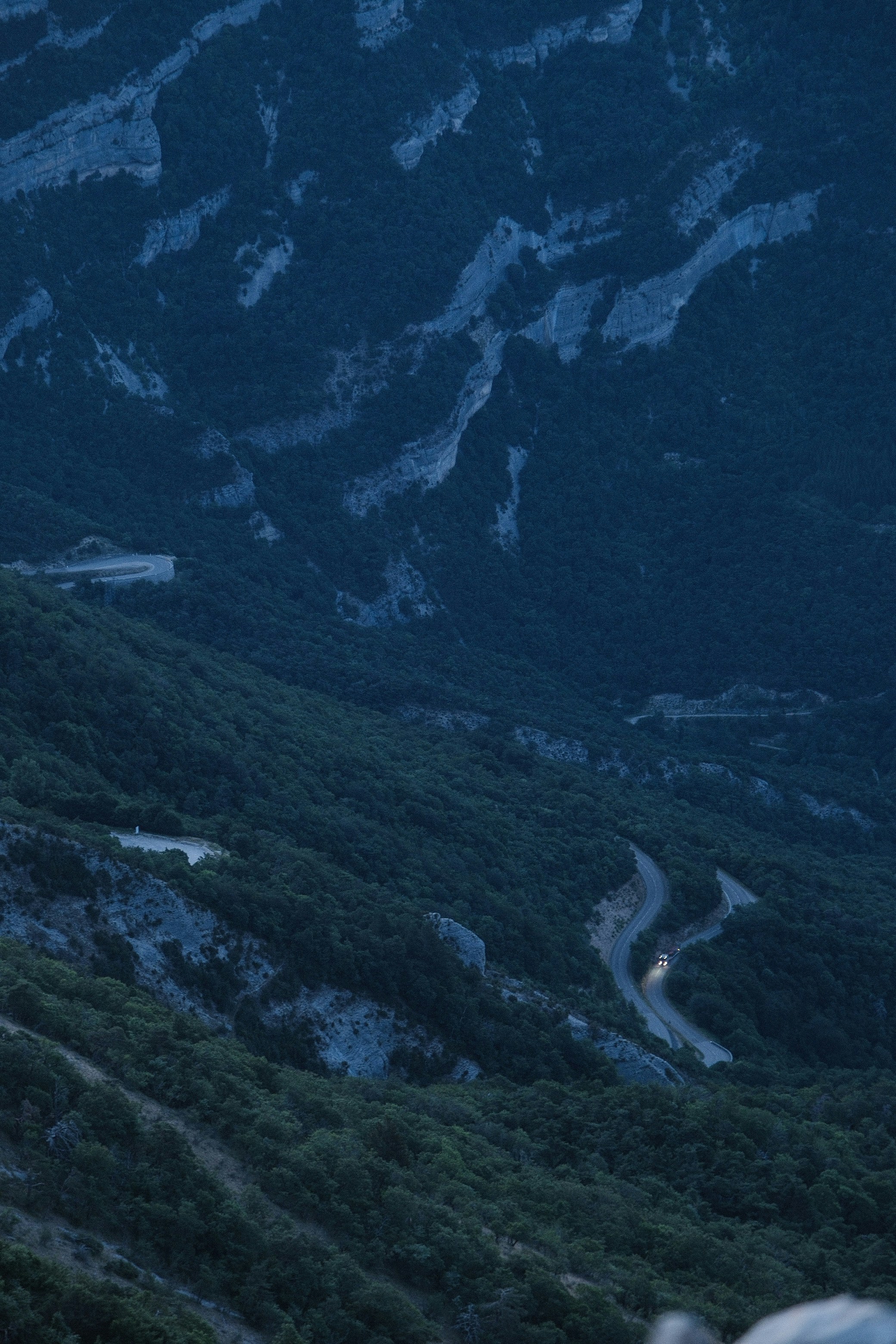 Winding Mountain Road Carves a Quiet Rhythm Through Dense Pines