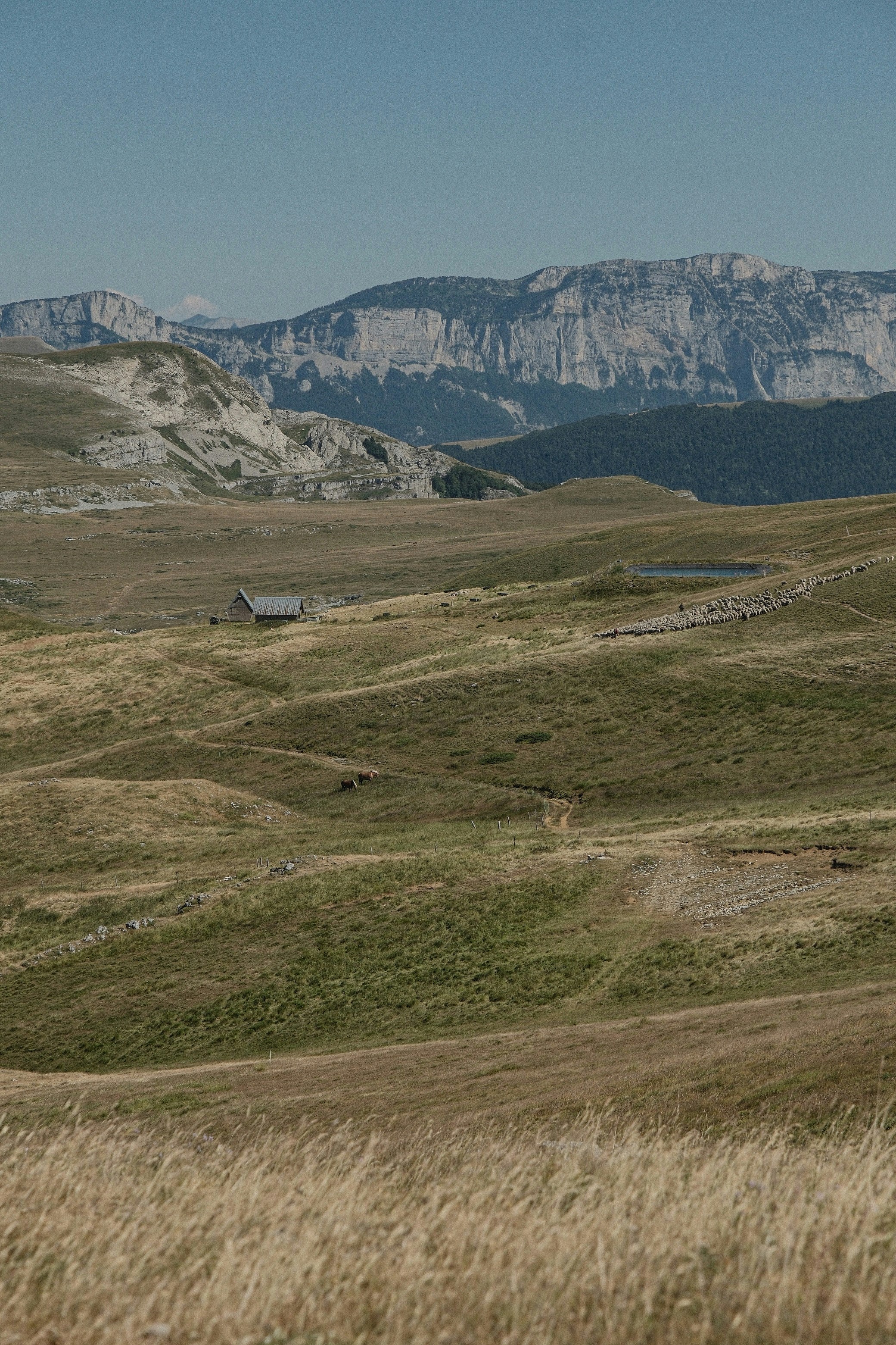 Stone Wall and Gullies Across Rolling Alpine Foothills