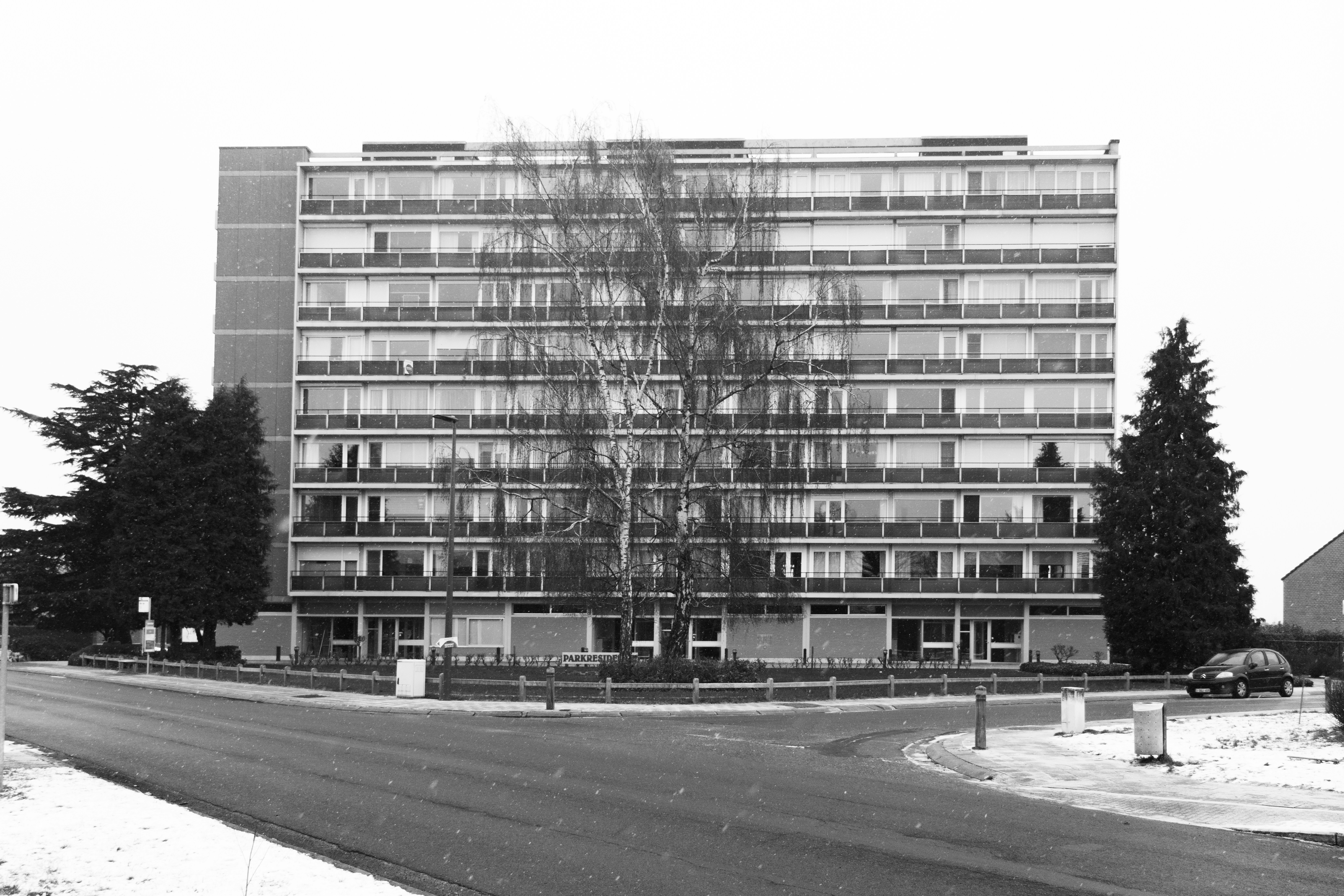 Midcentury Apartment Forecourt in Quiet Framing