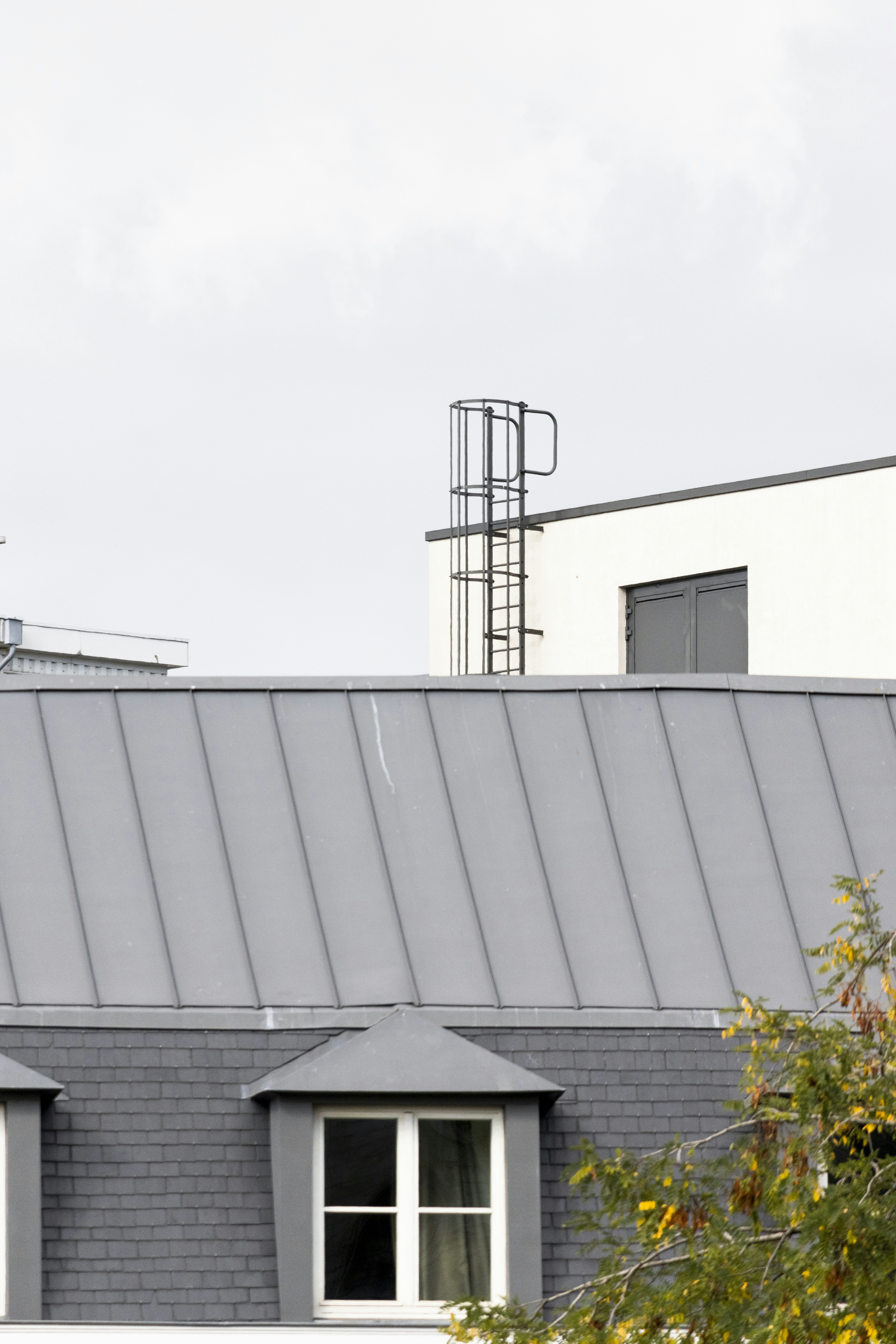 Rooftop Silhouette: Factory Ladder and Windowed Dormer