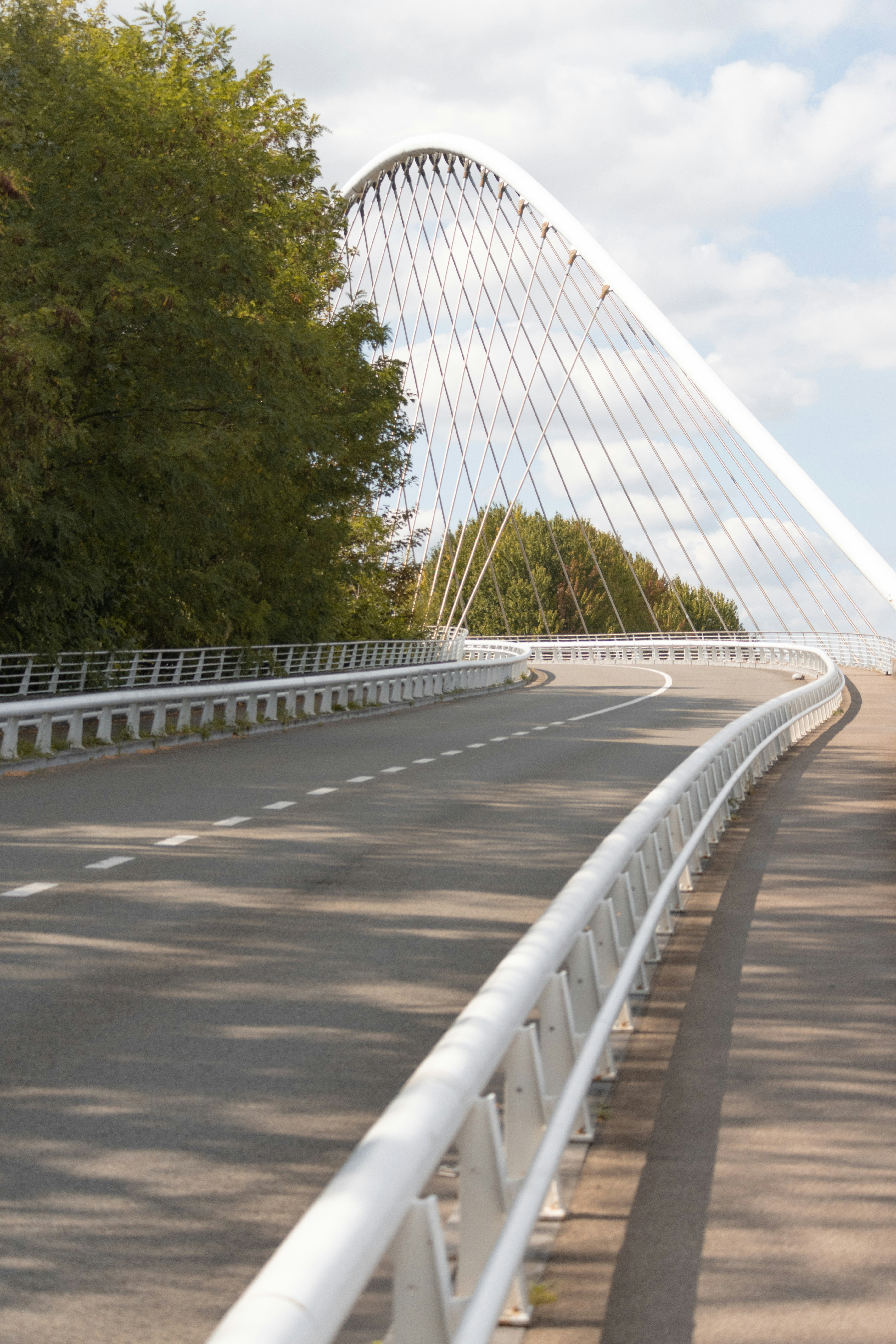 Arching Cables and Road to the Horizon