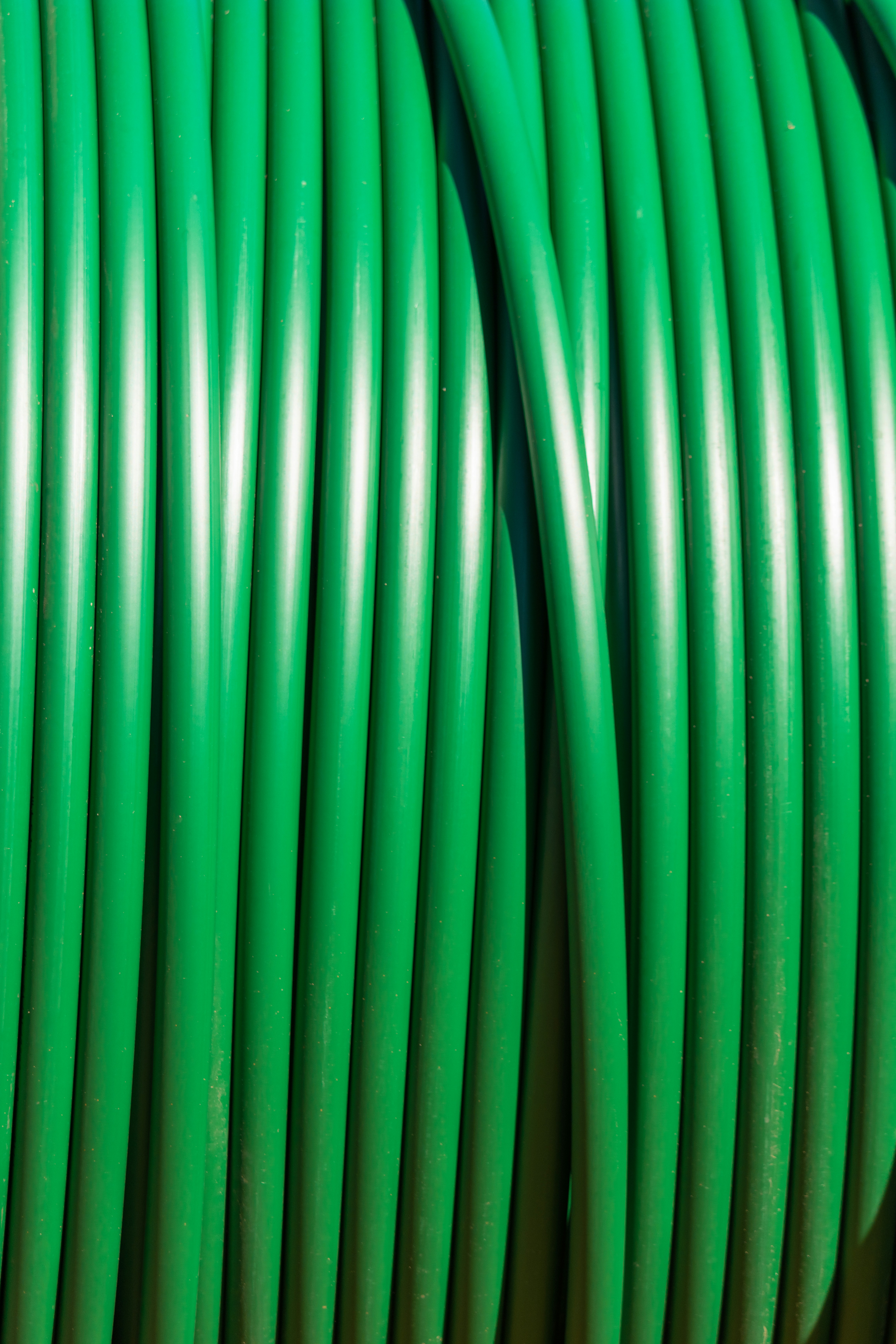Coiled Green Ribbons: A Macro Study in Helical Texture and Light