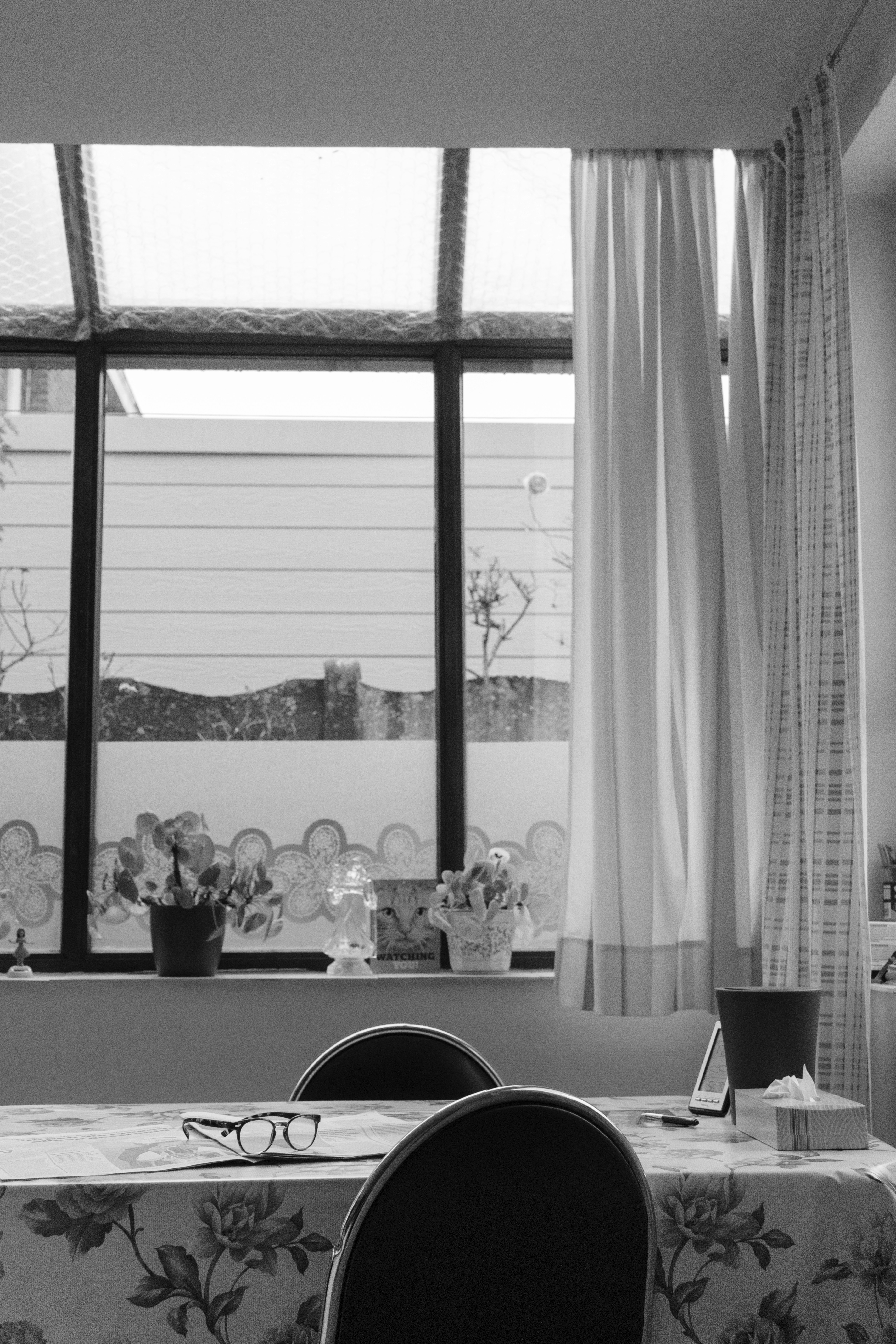 Sunlit Calm at the Window Picnic