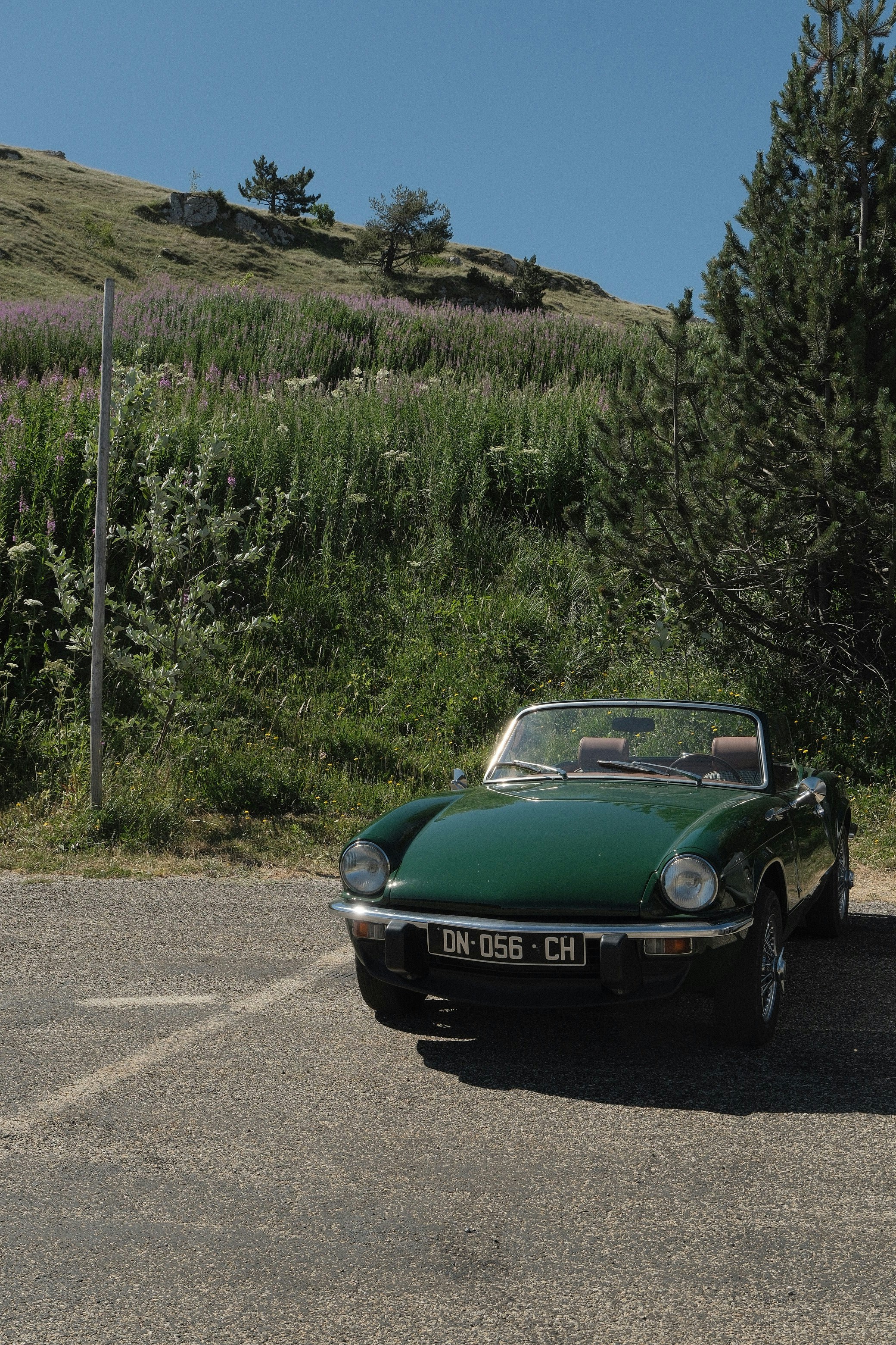 Green Roadster at the Edge: A Classic Convertible in a Mountain Meadow