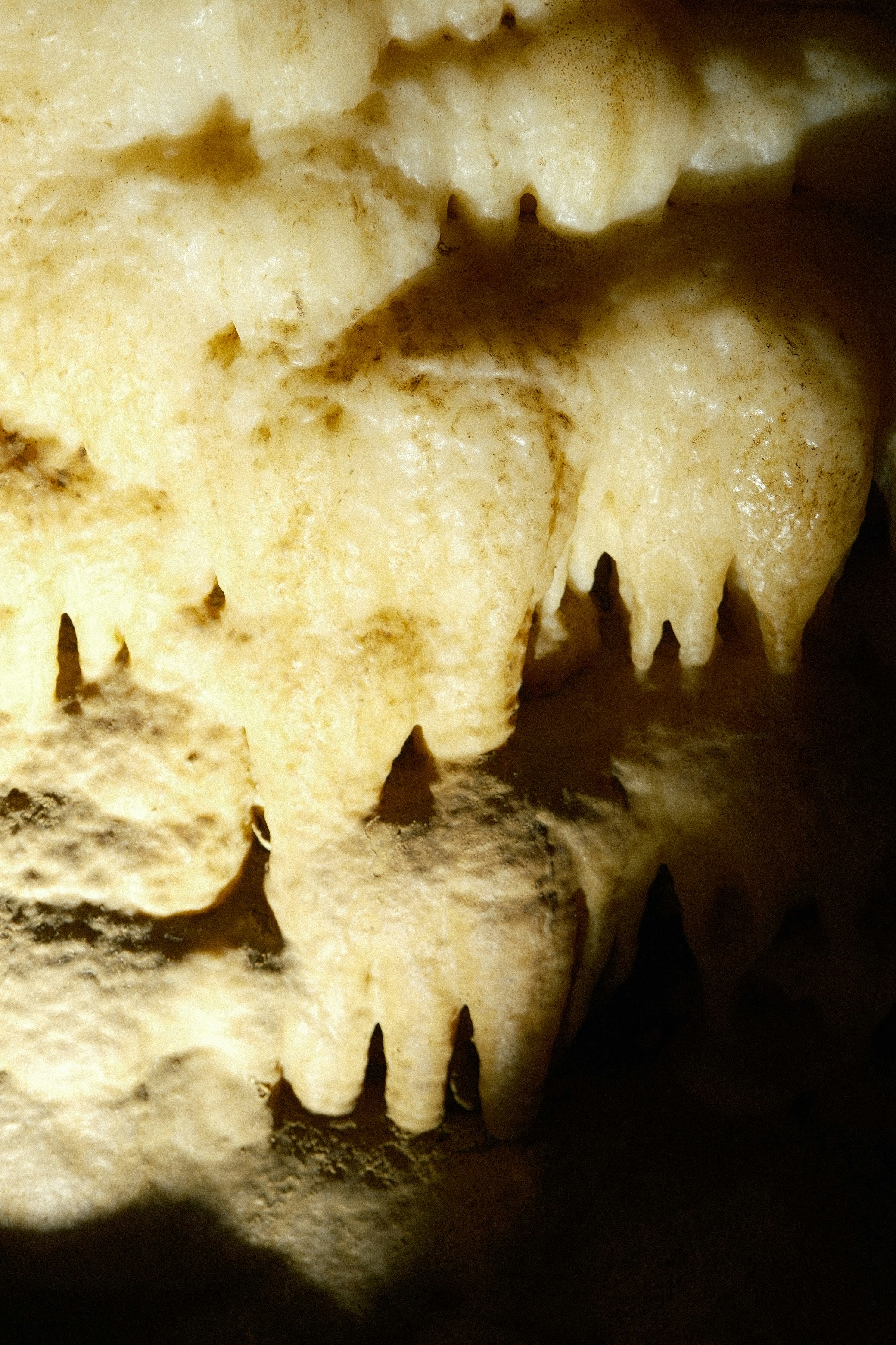 Amber Stalactites in a Shadowed Cavern