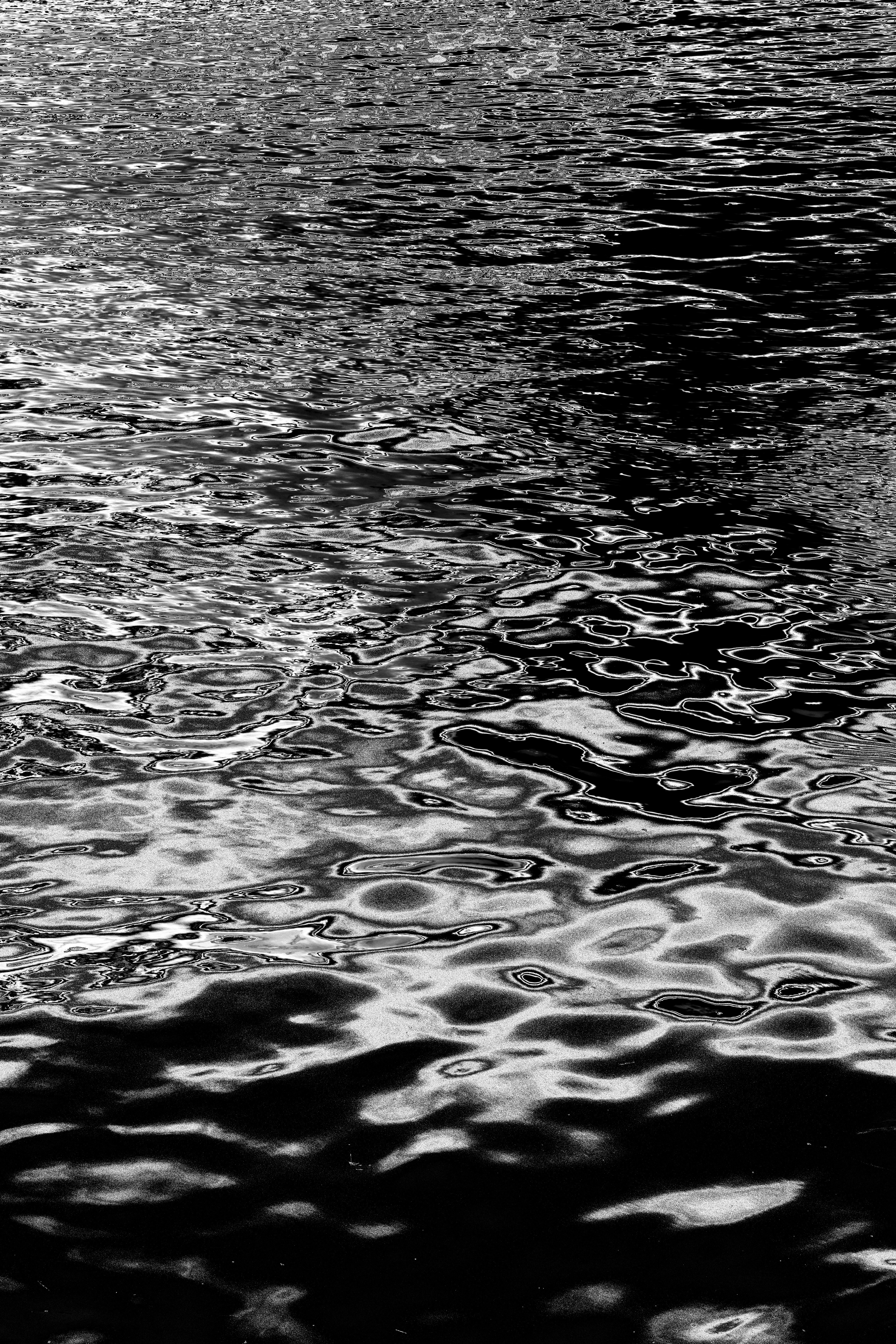 Ripples in Monochrome: An Aquatic Play of Light
