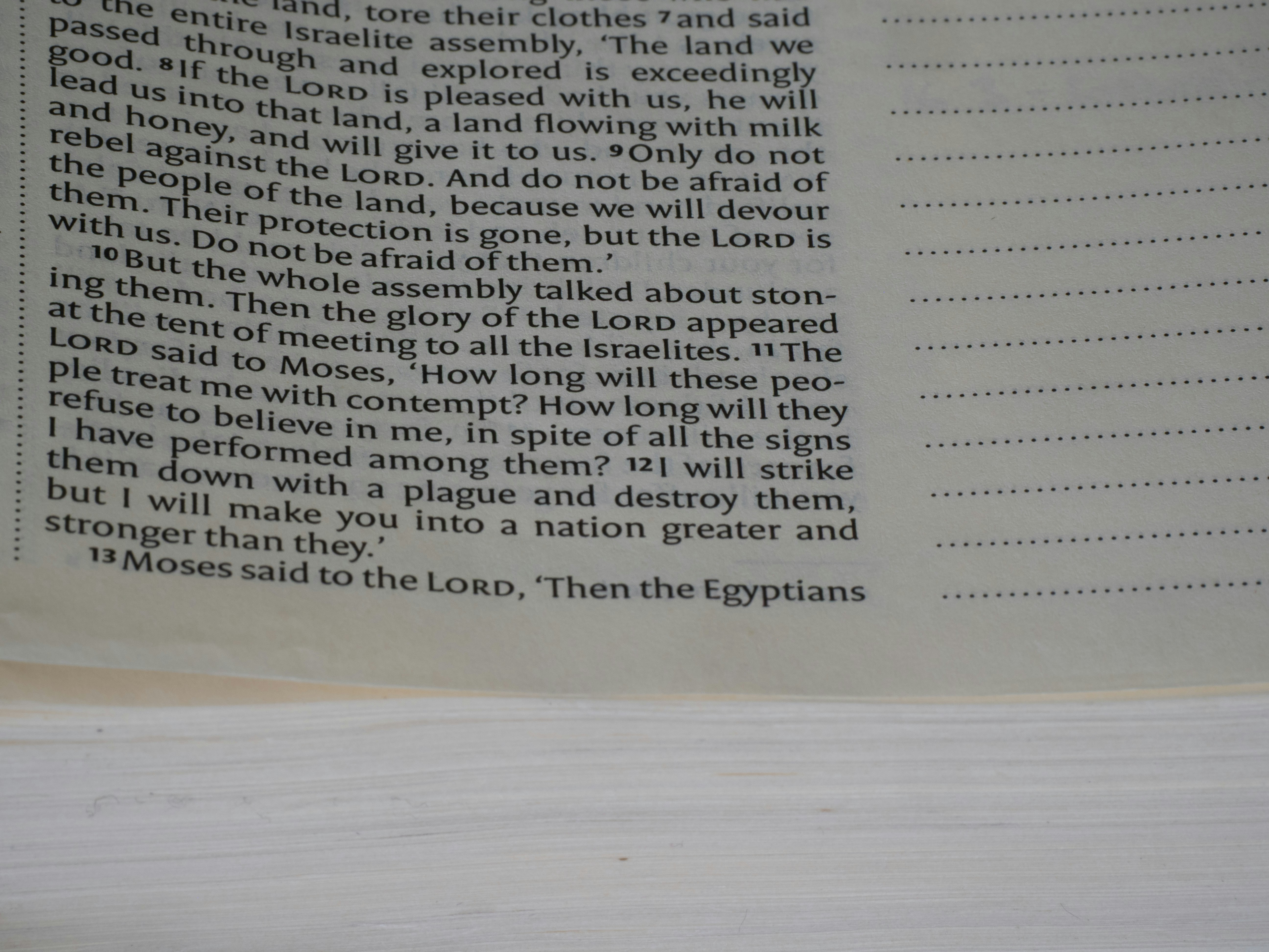 Close-up of printed Bible text on slightly worn pages with a faint dotted margin; the image emphasizes the page's texture and ink. This is a photograph (not a logo or illustration).