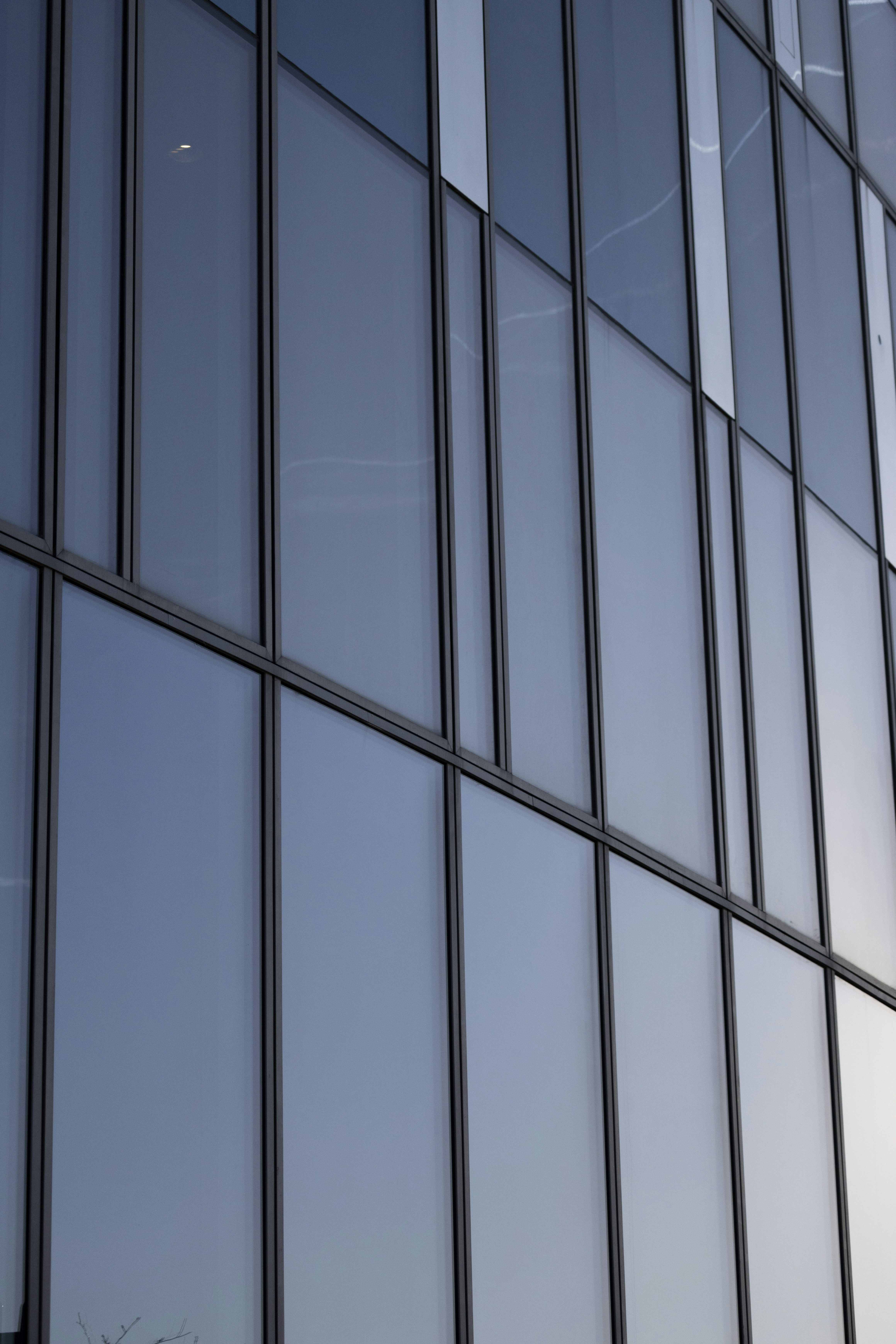 Reflections in Glass: A Grid of Quiet Facades