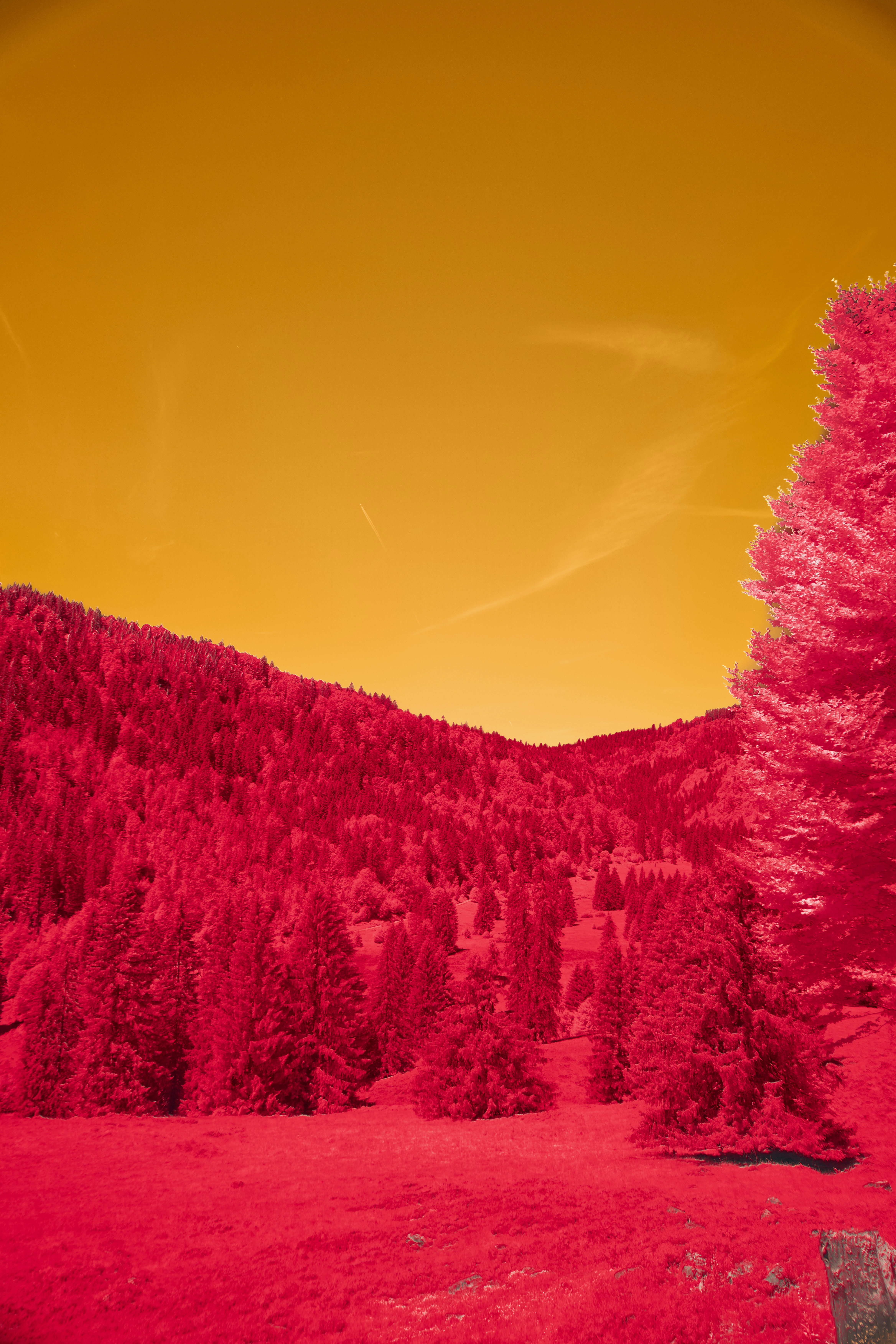 Infrared-toned valley with dense trees and a hill under a vivid orange sky; the scene emphasizes surreal colorization and a wide landscape composition.