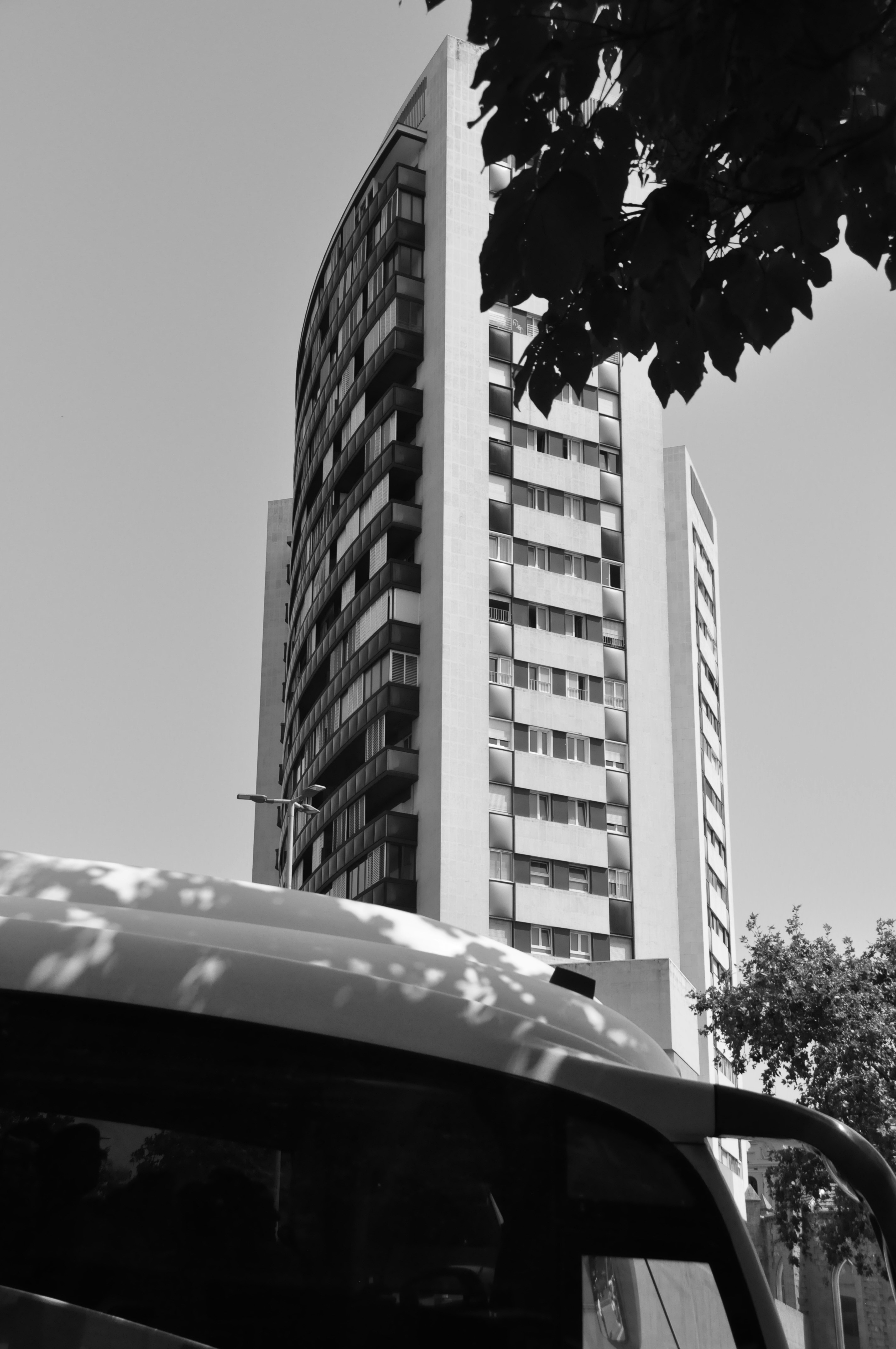 Skyscraper with Overhanging Foliage: A Night-Shadowed Urban Silhouette