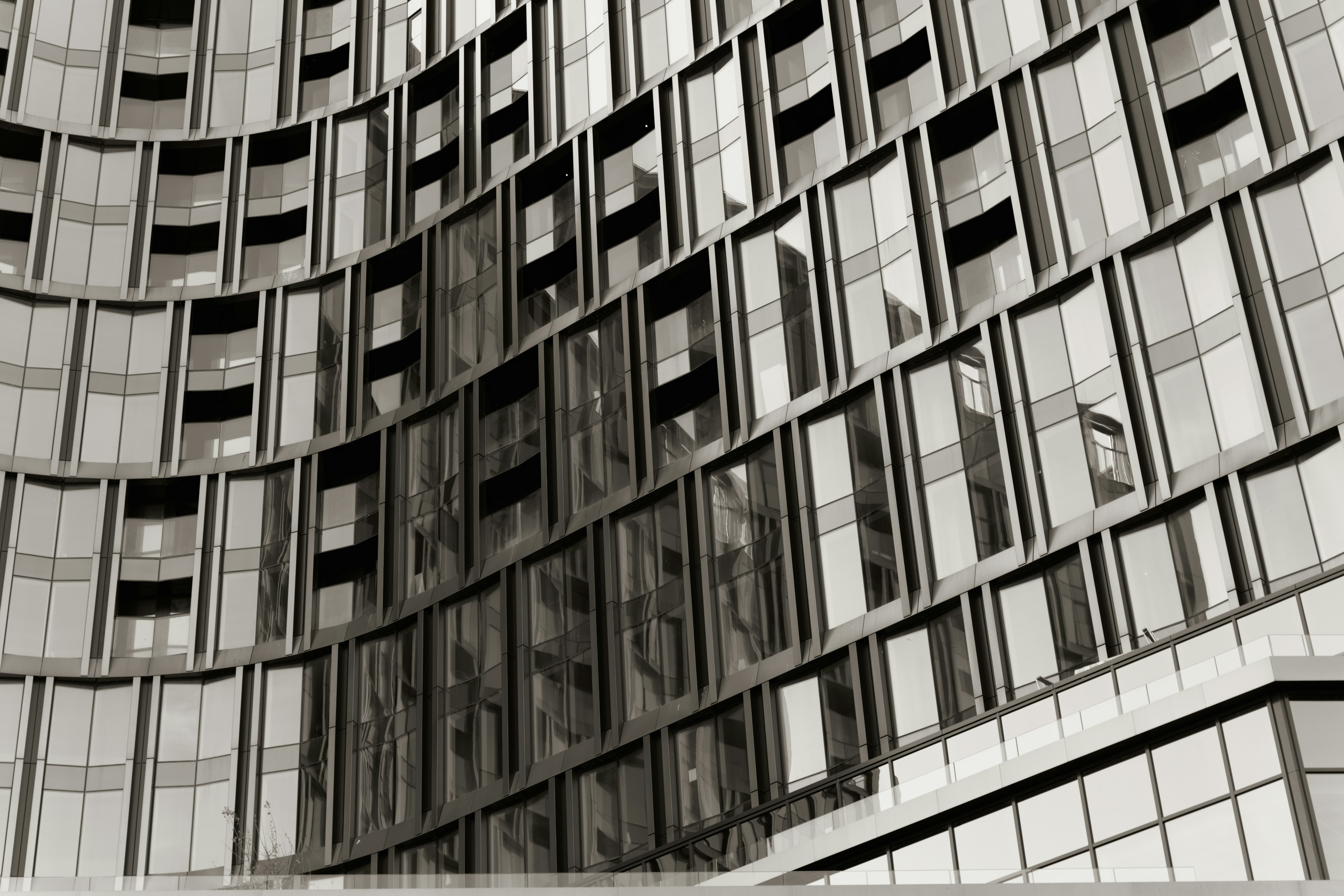 Gridded Facade: A Quiet Ballet of Glass and Steel