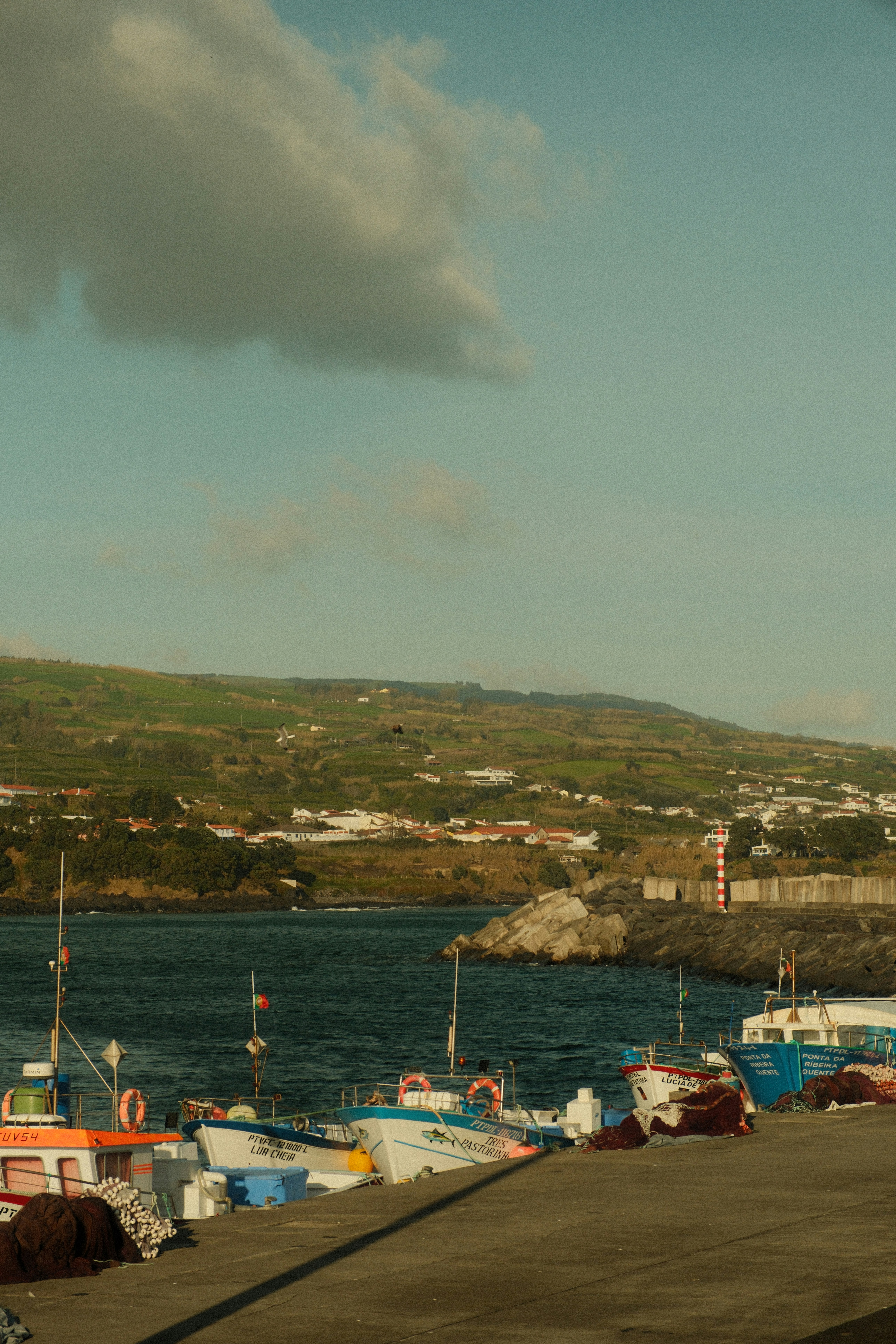 Harbor in Soft Light: Boats Rest Along the Quiet Pier