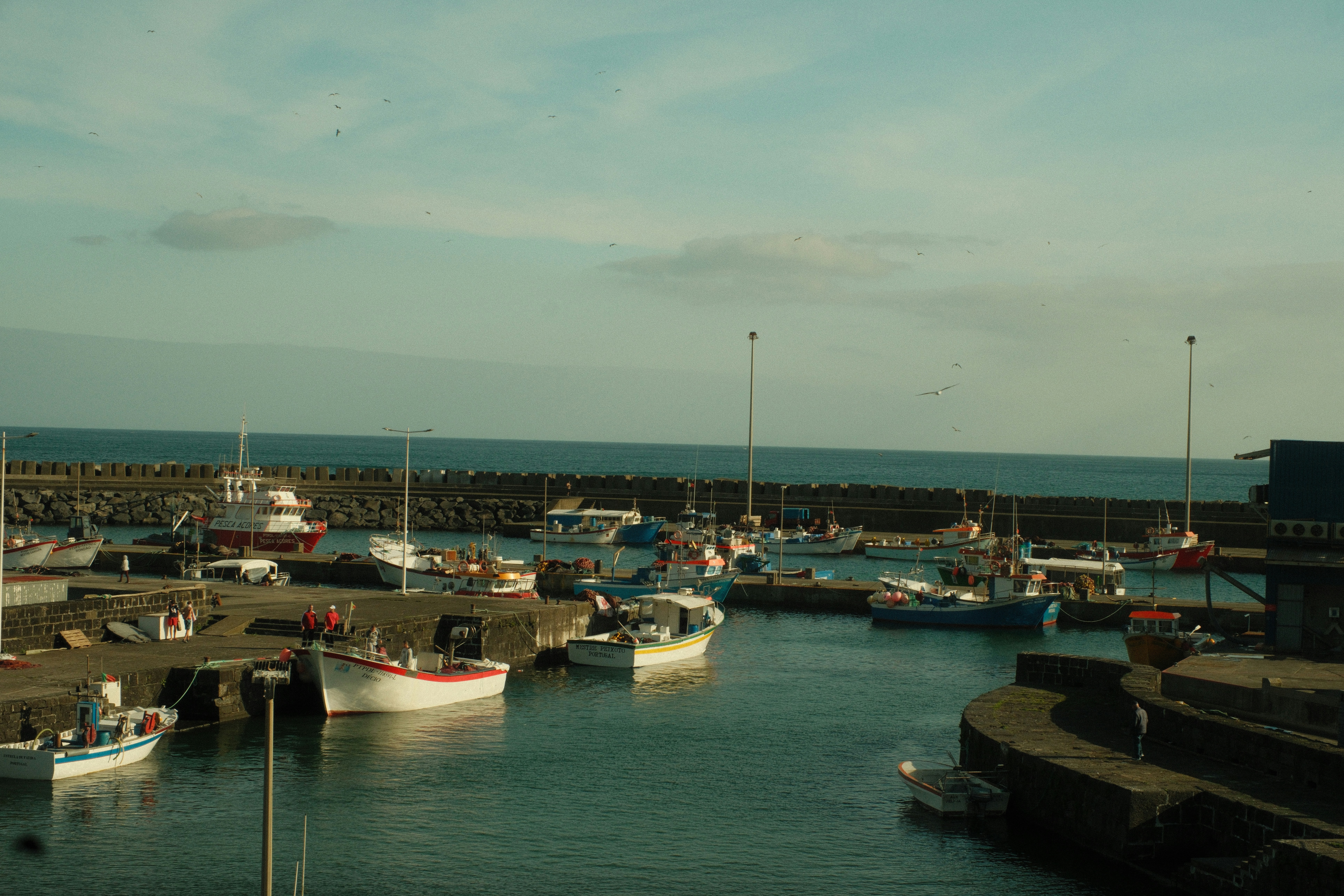 Harbor Lines: Boats Rest Along a Quiet Breakwater