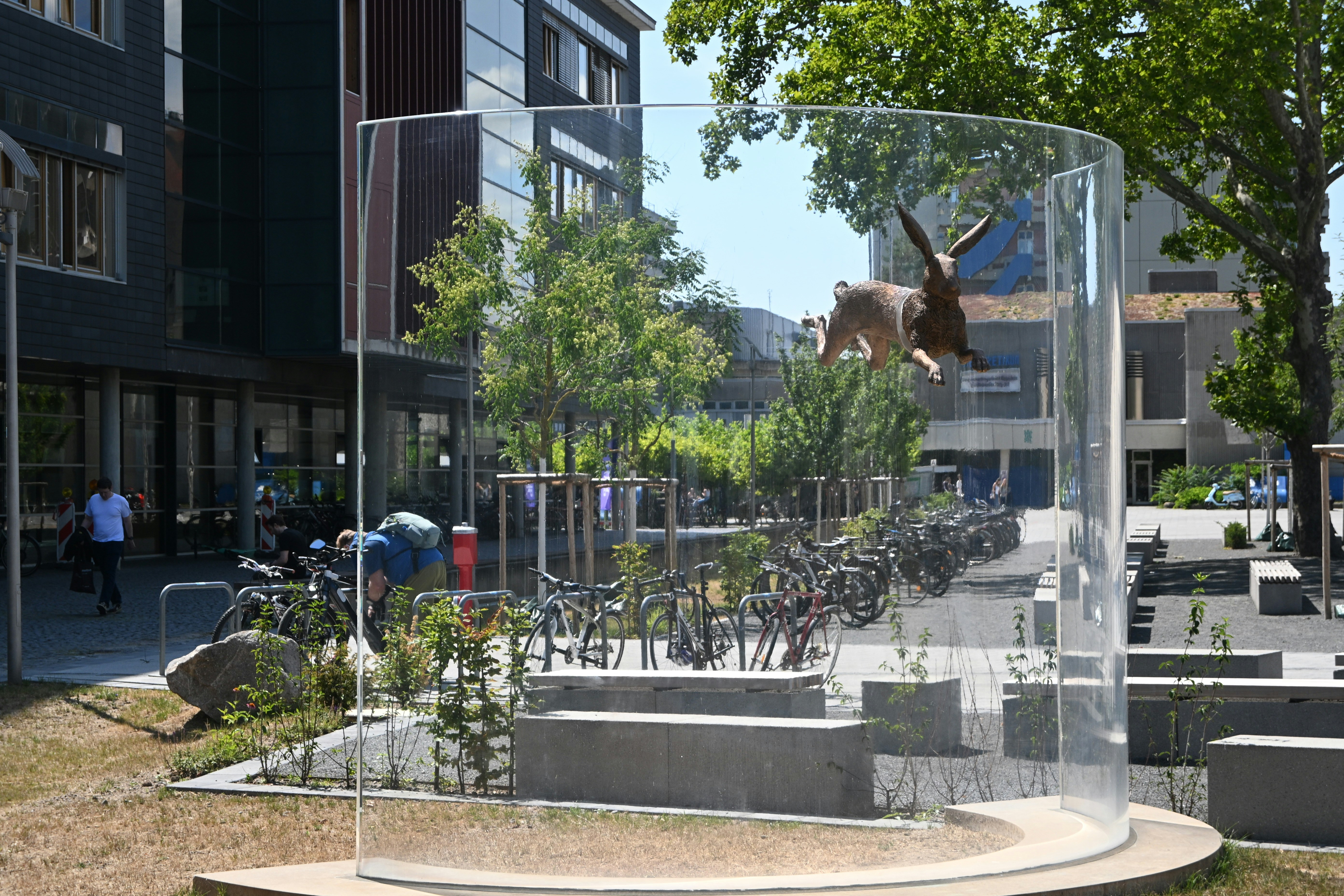 Transparent Sculpture, Hidden Bird in a City Square