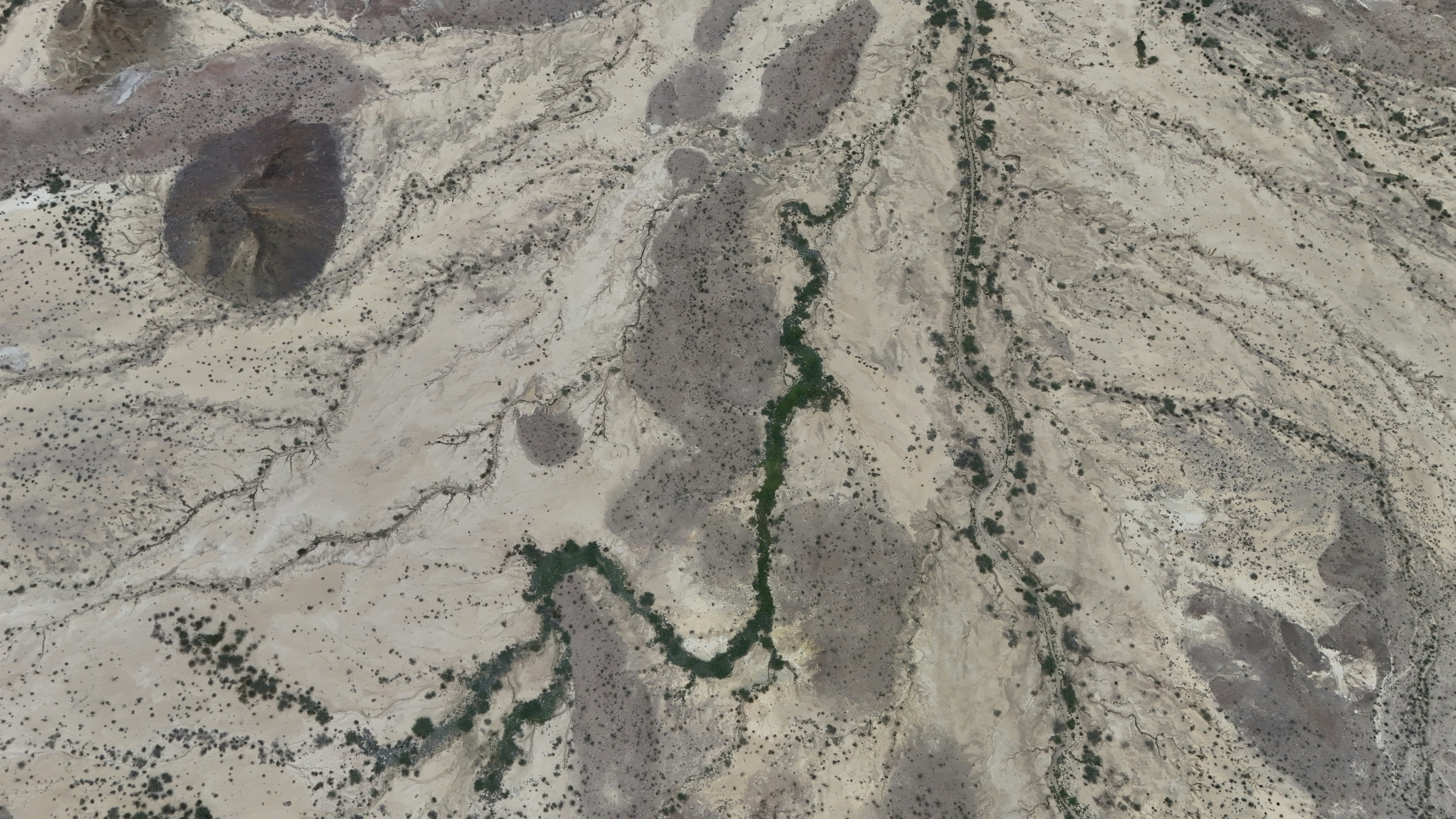 Dry riverbed scars: a meandering green vein through arid hills